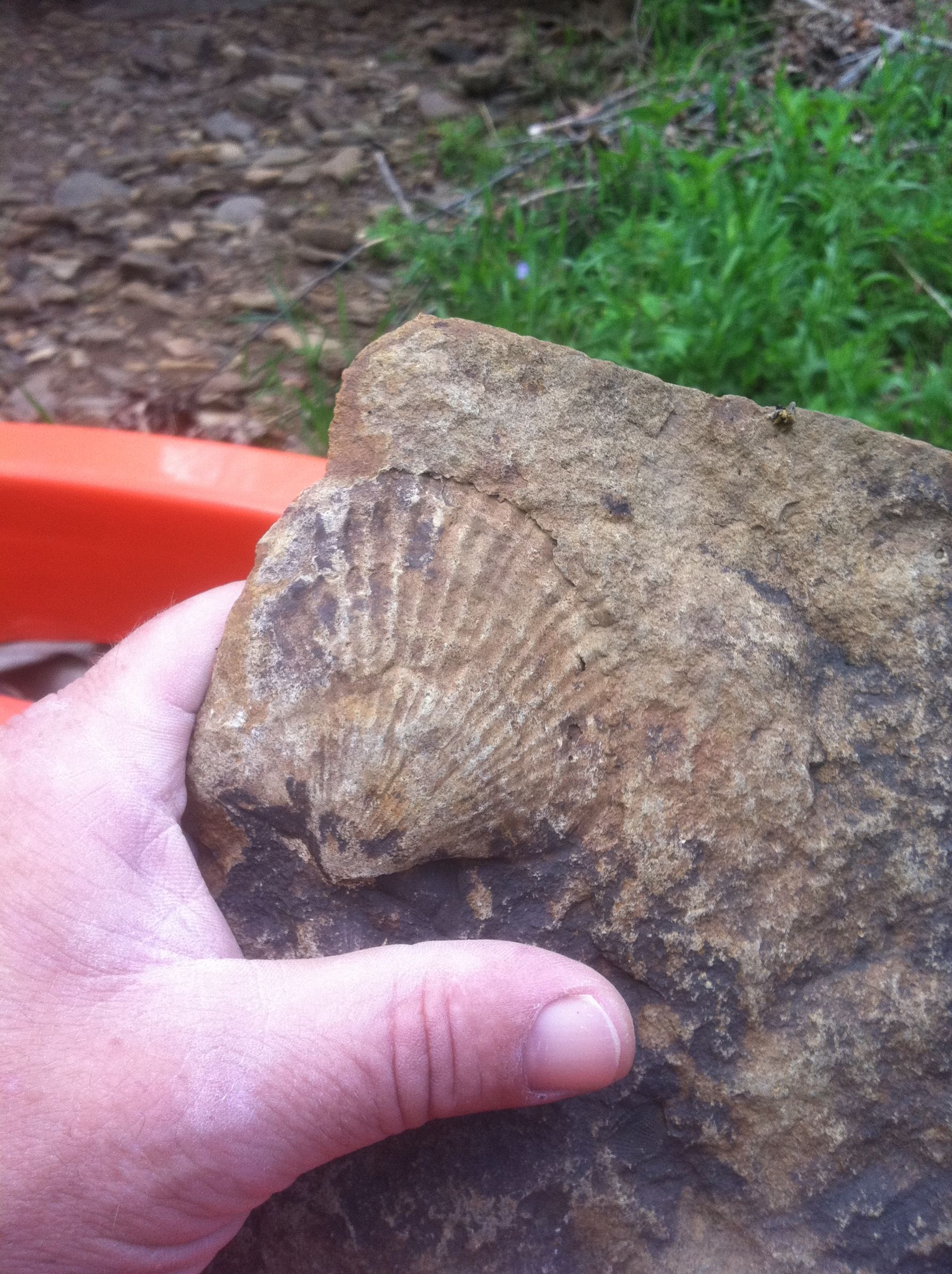 Redneck Outdoor Tub : 6 Steps (with Pictures) - Instructables