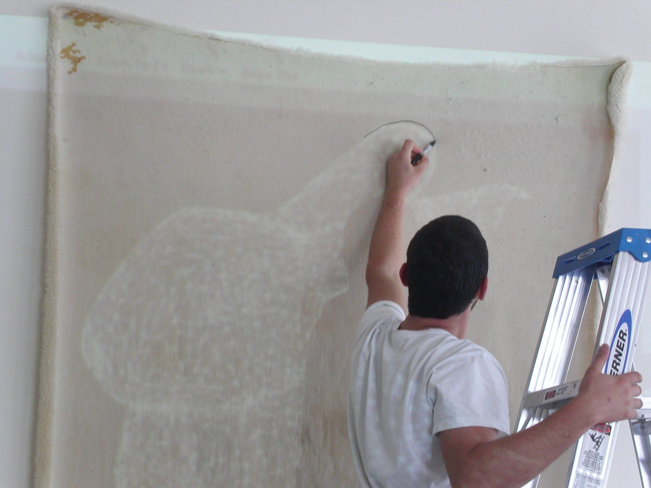 Bunny Rug - Transferring an Image to Any Surface With a Projector : 5 ...