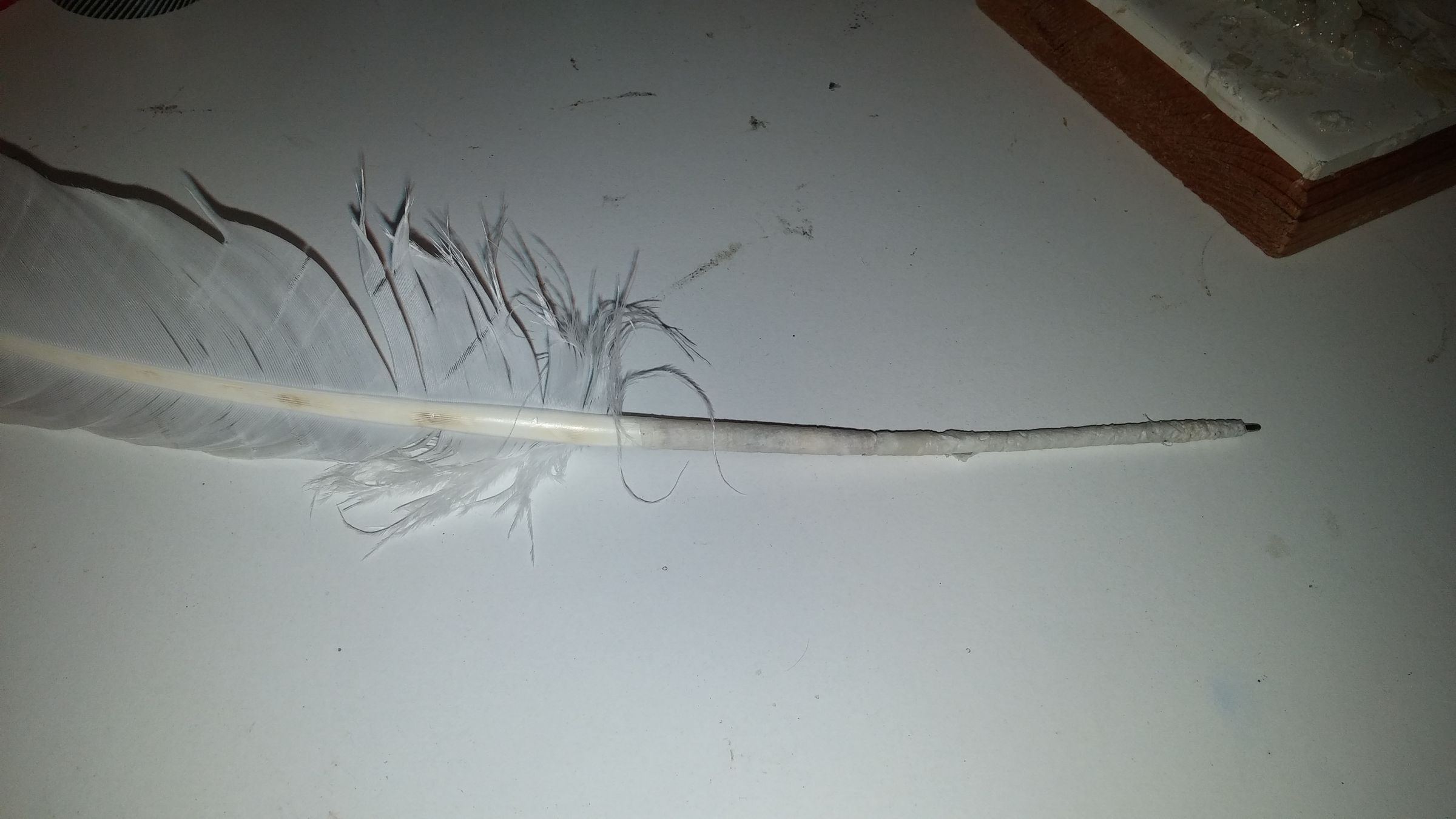 Personalized Writing Quills With Ballpoint Pens : 3 Steps - Instructables