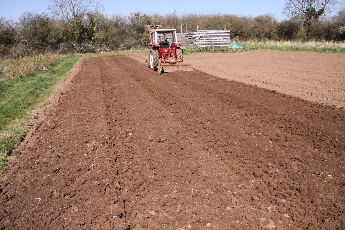 Grow a Ton of Potatoes : 7 Steps (with Pictures) - Instructables