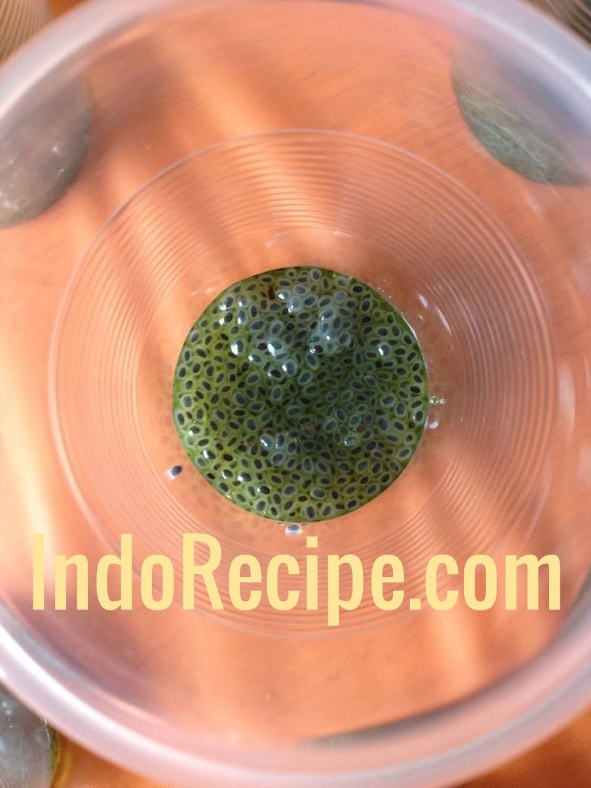Tadpole Eggs