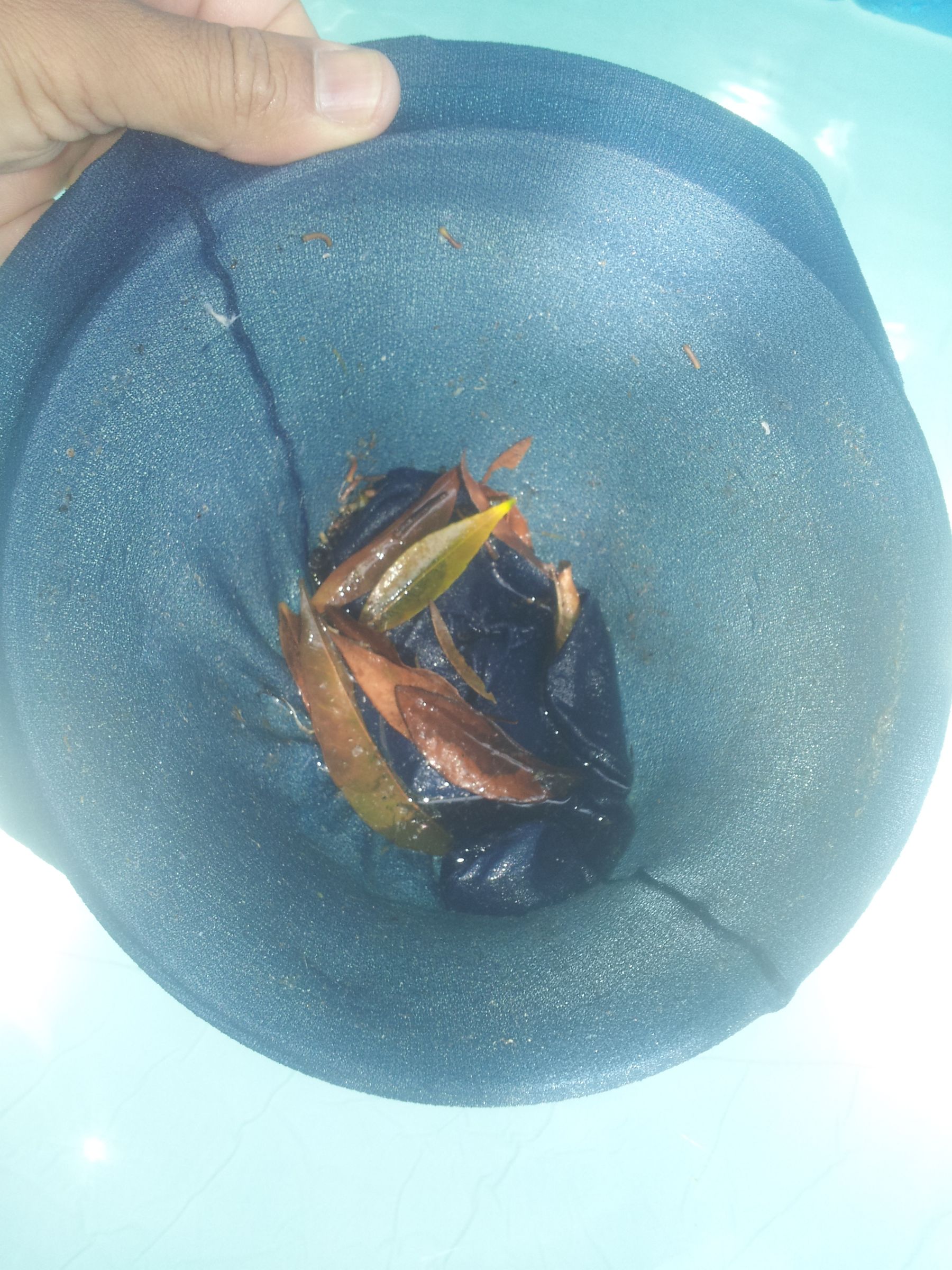 Above Ground Pool Pre Filter : 4 Steps - Instructables