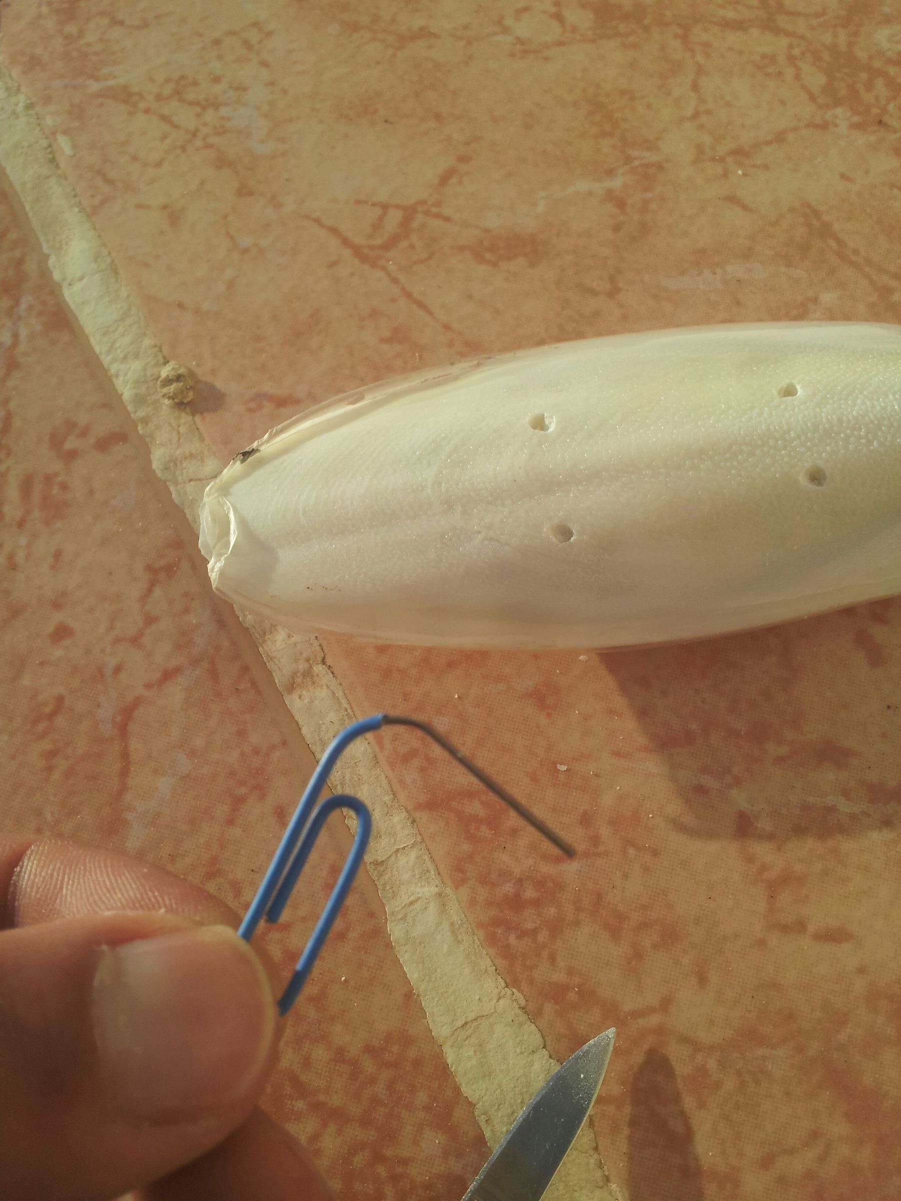Zip Tie Cuttlebone Holder for Birds : 6 Steps - Instructables