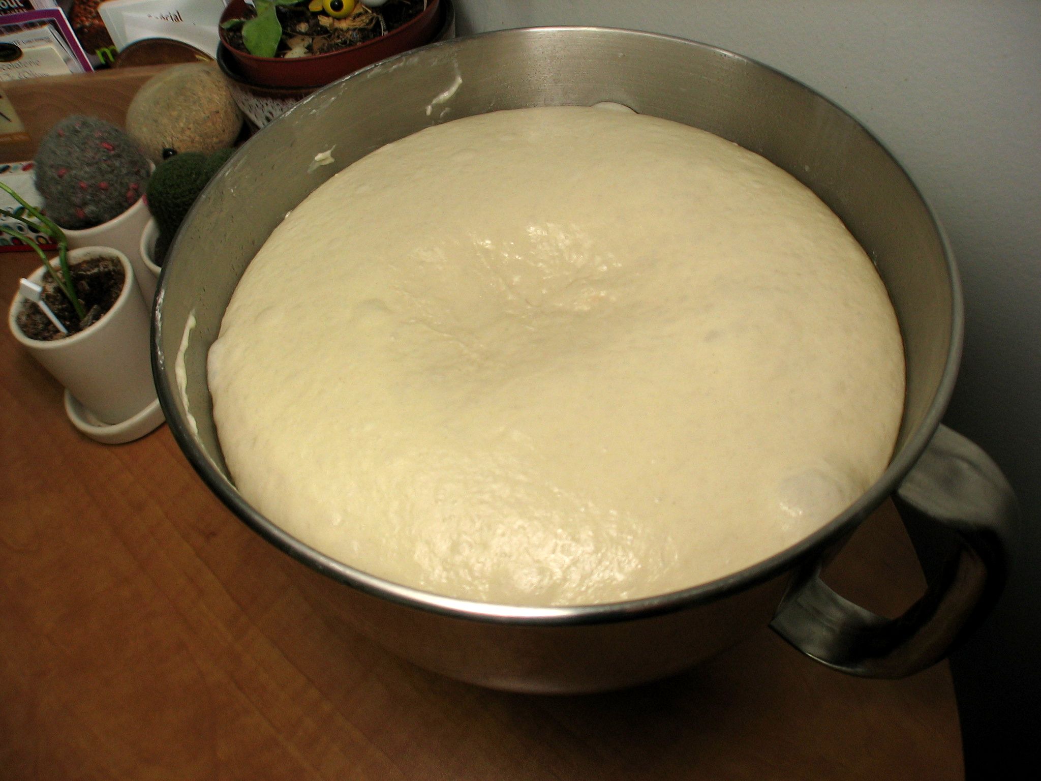 Peter Reinhart - Lean Bread : 13 Steps (with Pictures) - Instructables