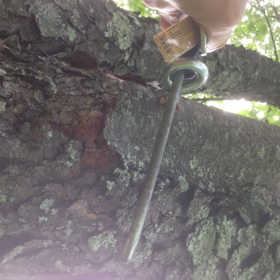 How to Make a Backyard Zipline : 9 Steps - Instructables