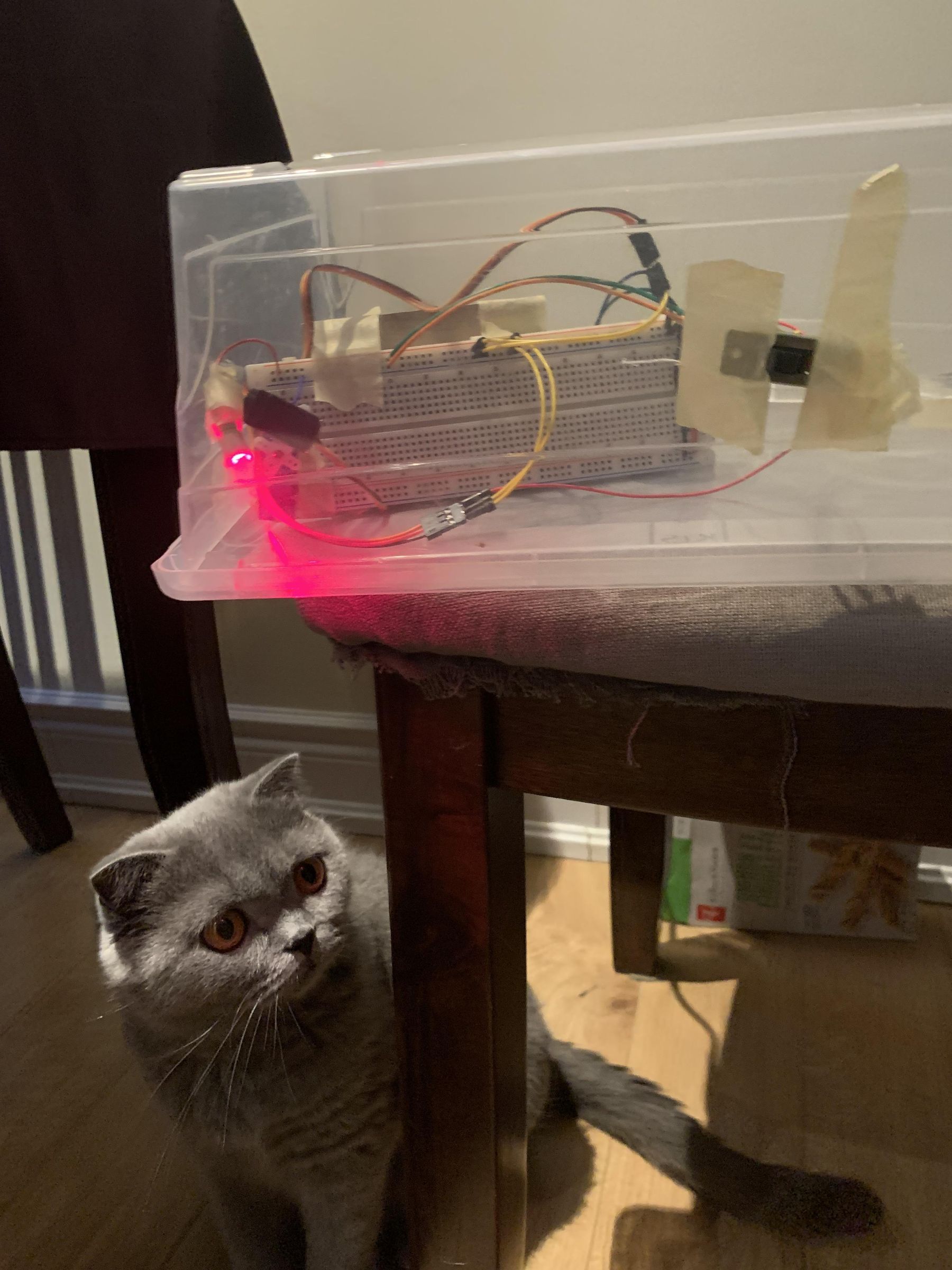 Arduino Laser Cat Toy : 5 Steps - Instructables