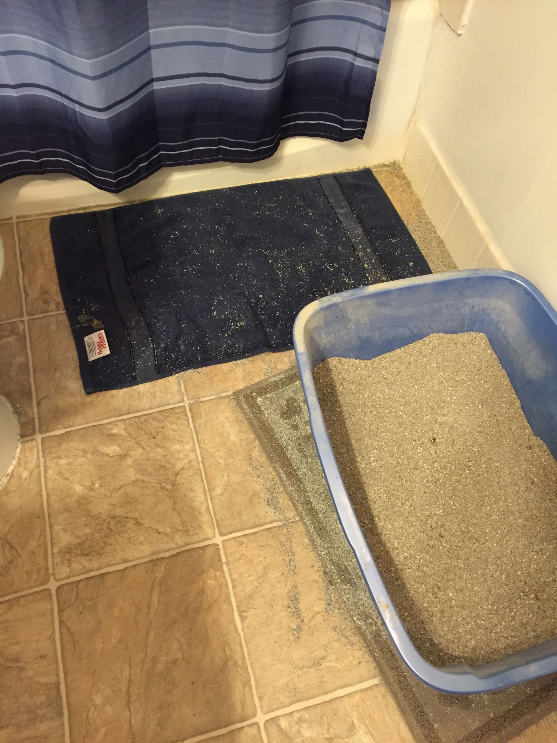 Kitten Vanity Litter Bin : 4 Steps (with Pictures) - Instructables