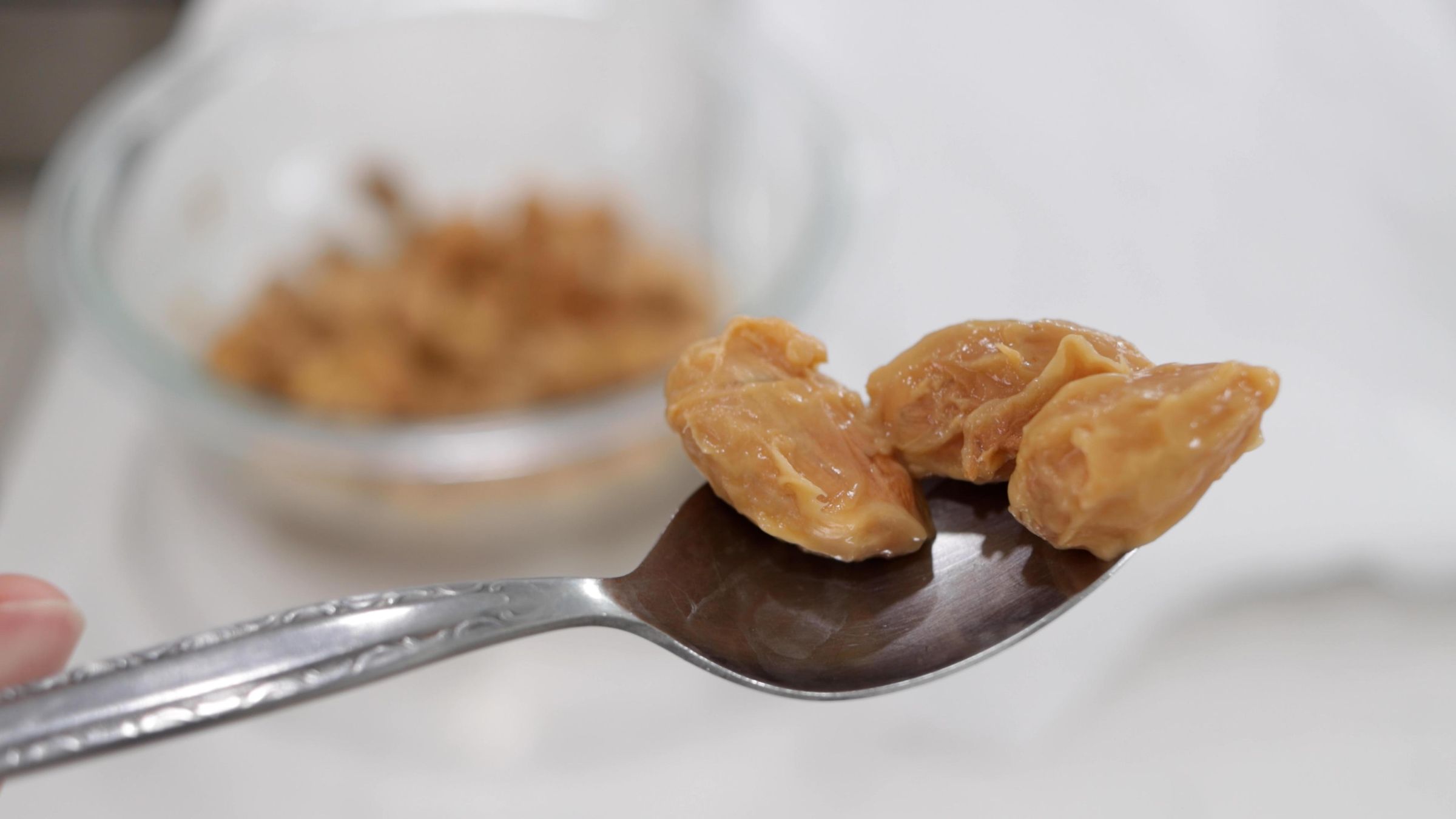 Make Chocolate From a Cacao Pod : 8 Steps (with Pictures) - Instructables