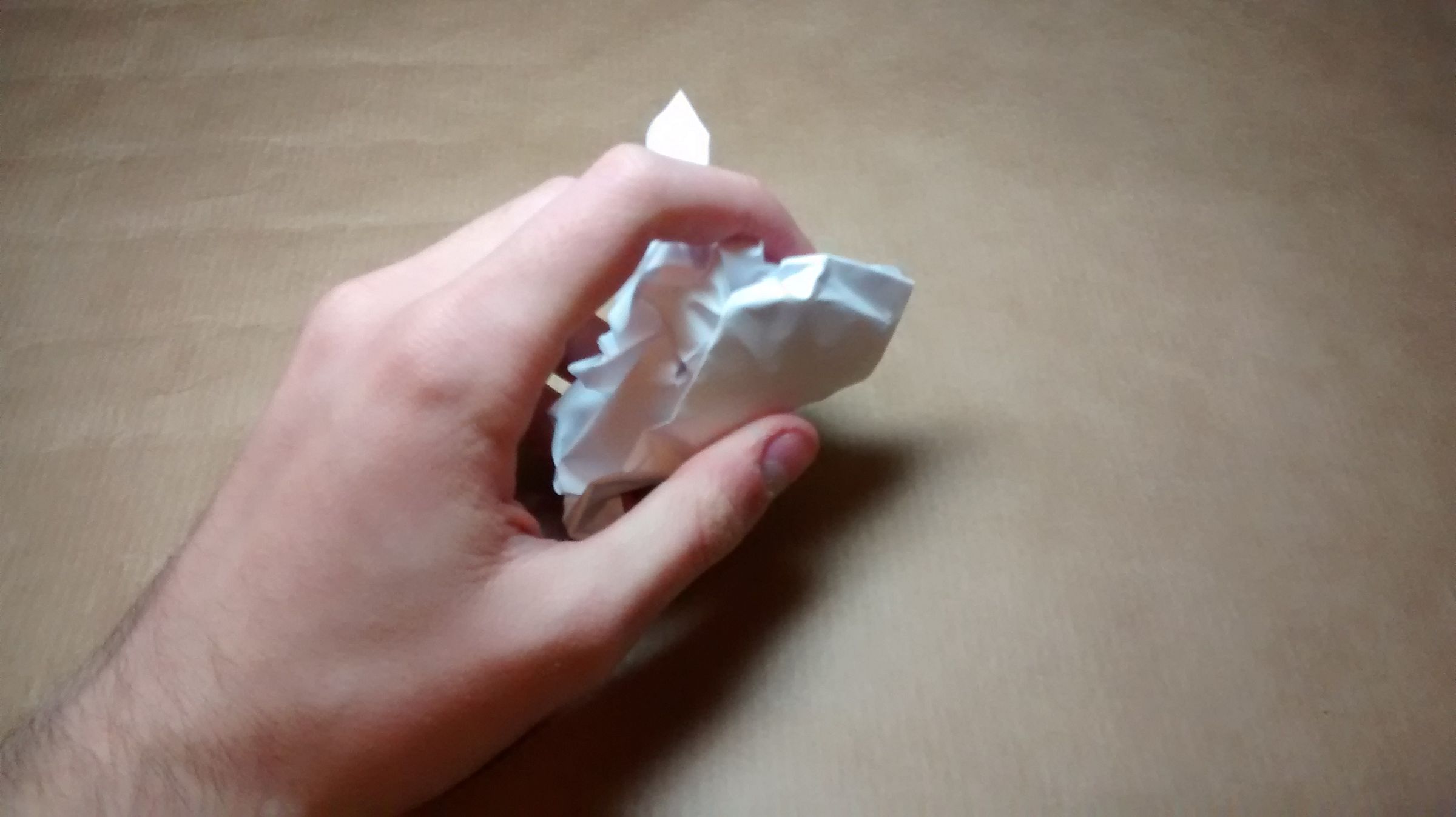 Pet Origami Rock and Manual : 4 Steps - Instructables