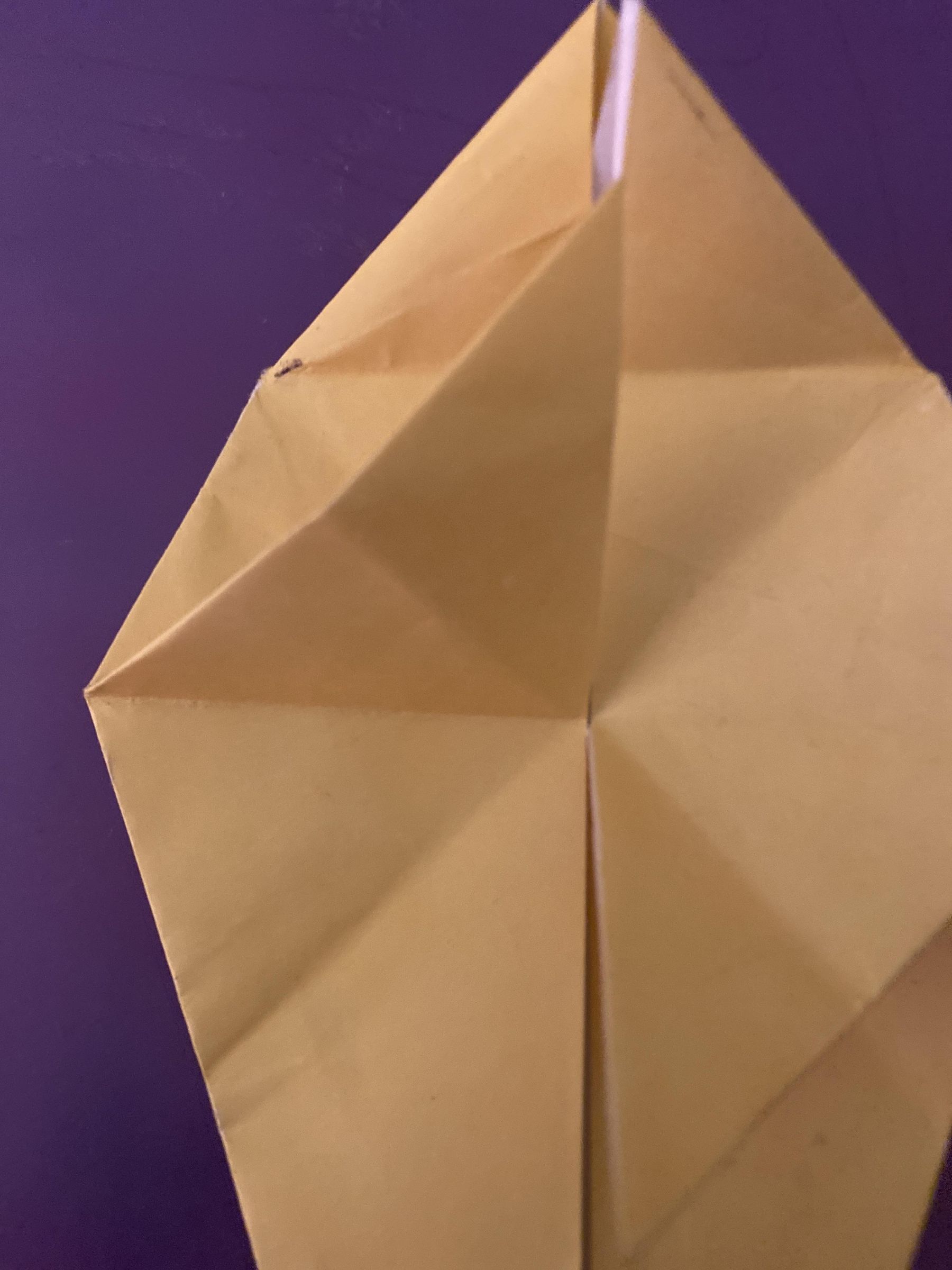 Origami Rat : 27 Steps - Instructables