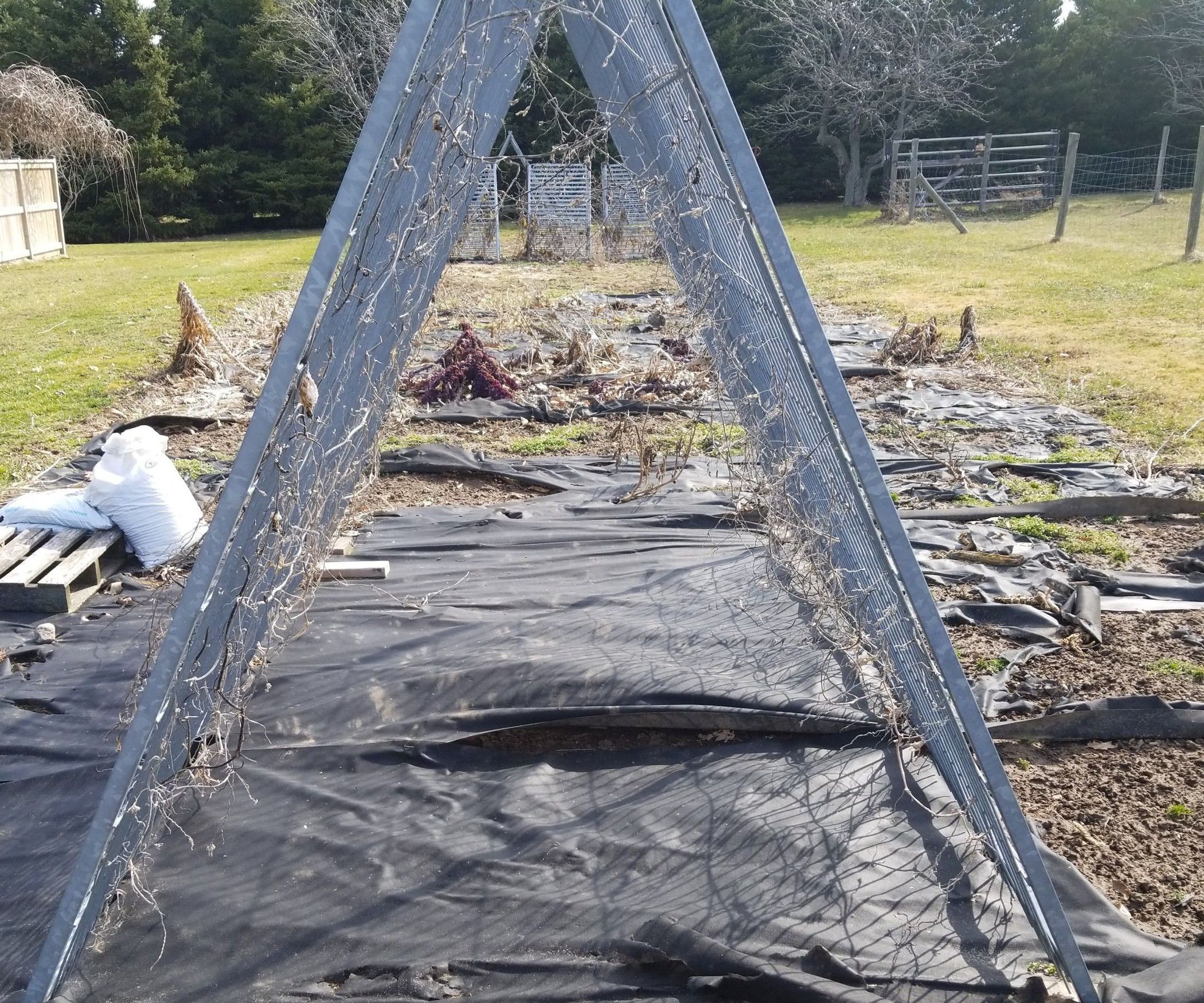 Spring Cleaning the Organic Garden : 24 Steps - Instructables