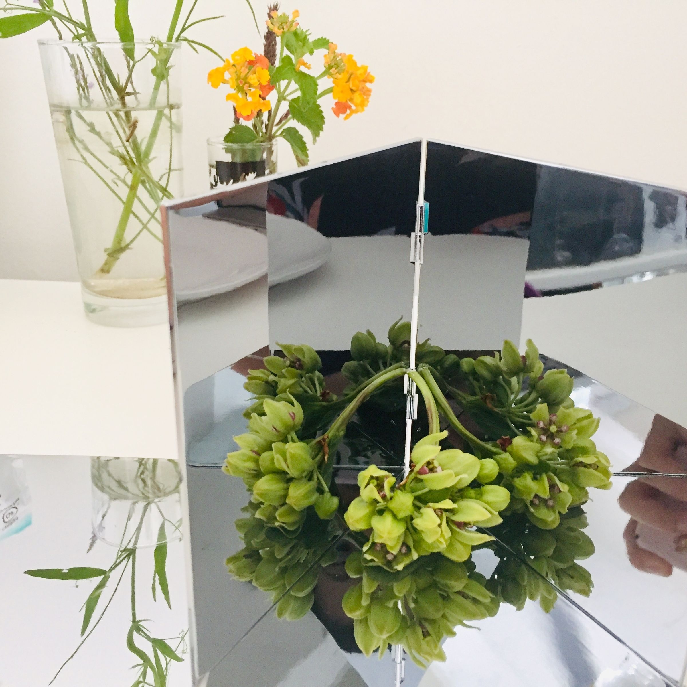 Plant Prisms & Cardboard Kaleidoscope : 6 Steps (with Pictures ...