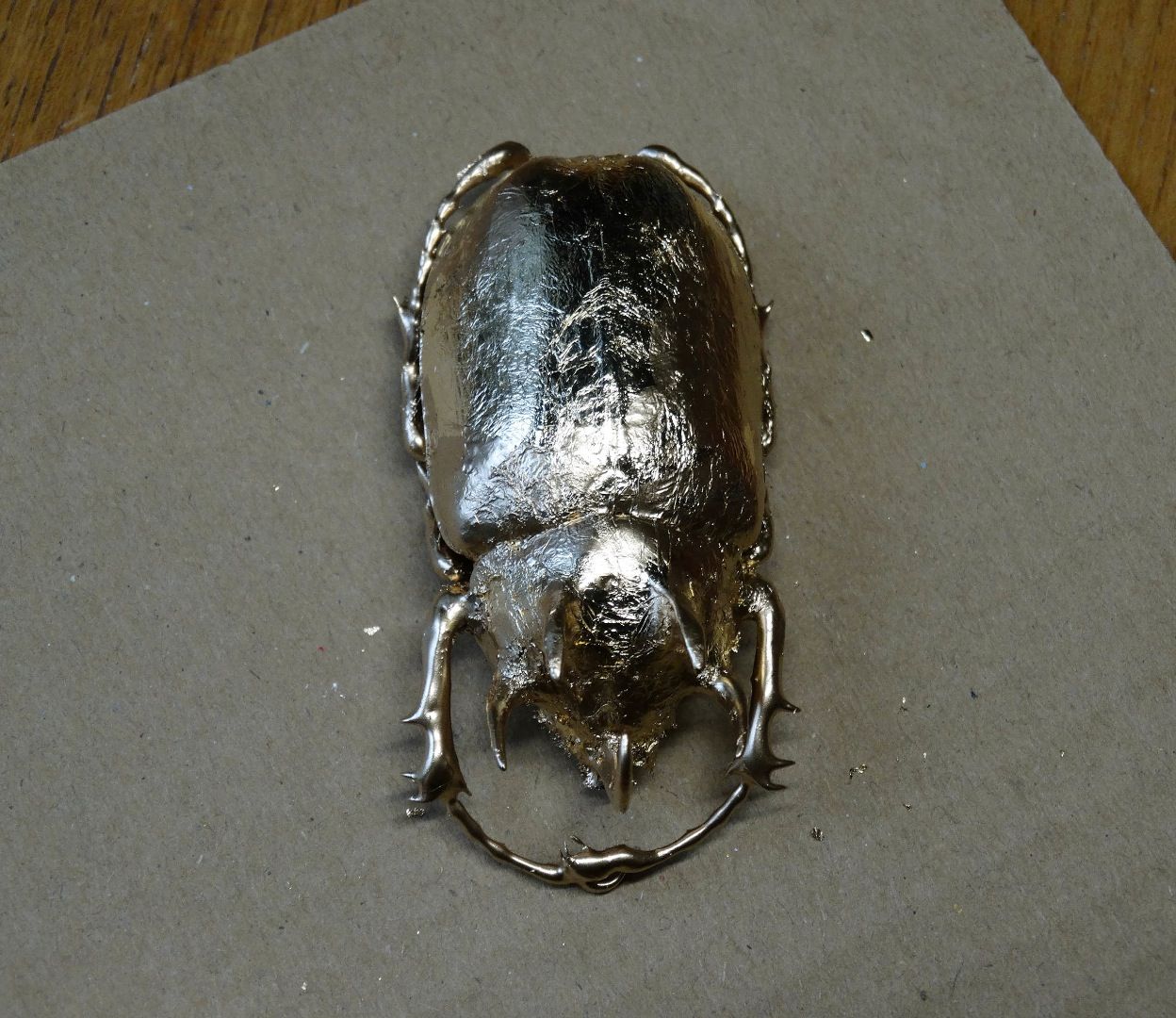 Preparing and Gilding a Real Insect : 10 Steps (with Pictures ...