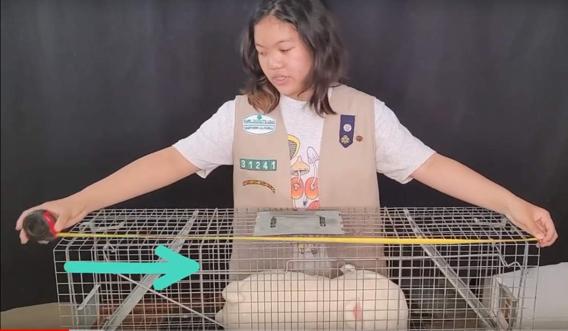 How to Measure a Tnr Trap, Make a Sewing Pattern and Sew Tnr Trap Cover : 9 Steps (with Pictures ...