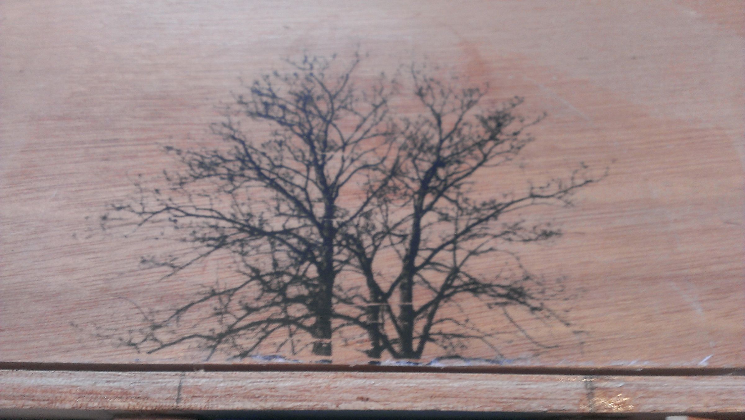 Upcycled Tea Bag Organizer : 4 Steps - Instructables