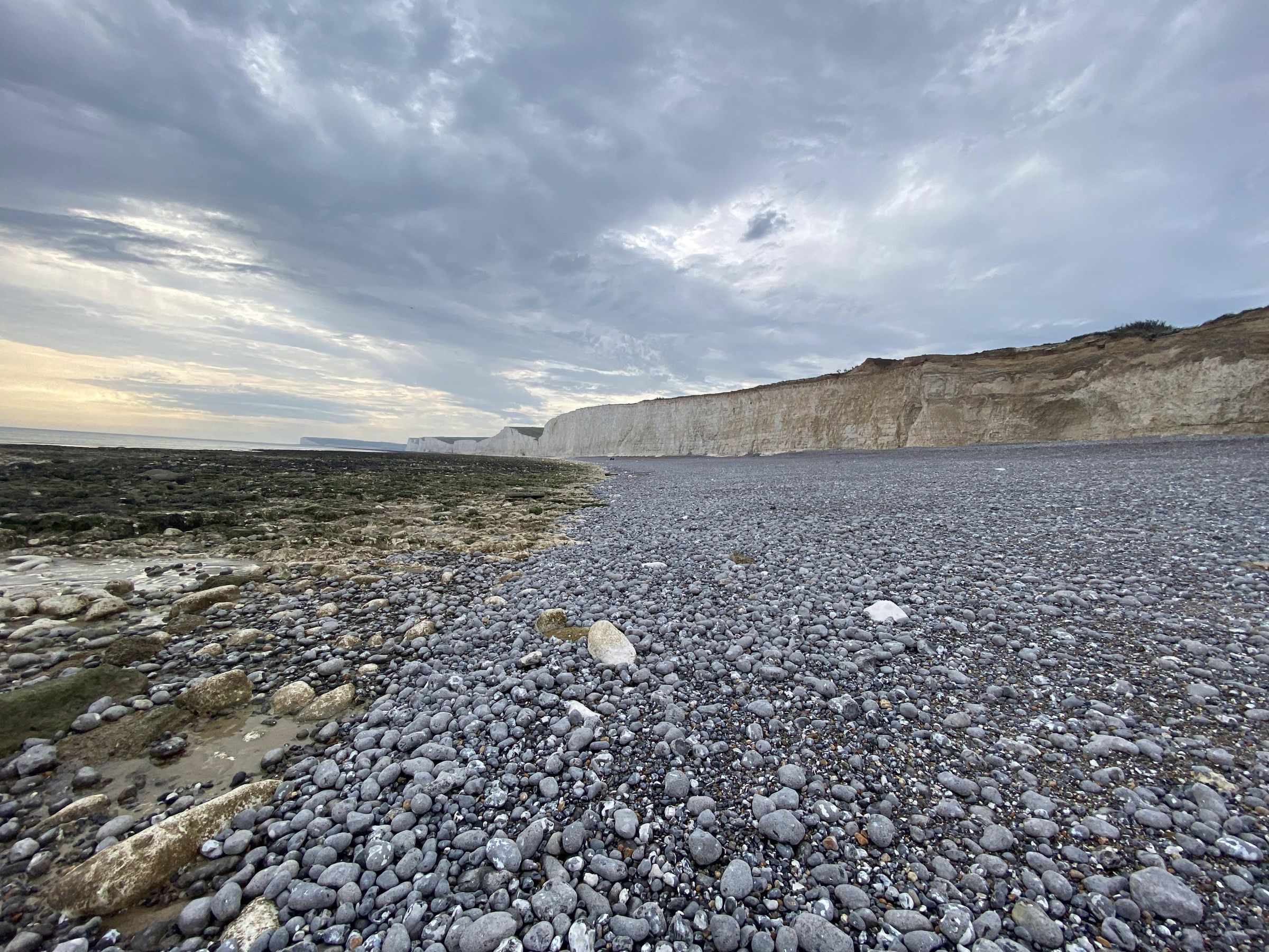 Animating a Realistic Dragon for VFX in Autodesk Maya : 15 Steps (with ...