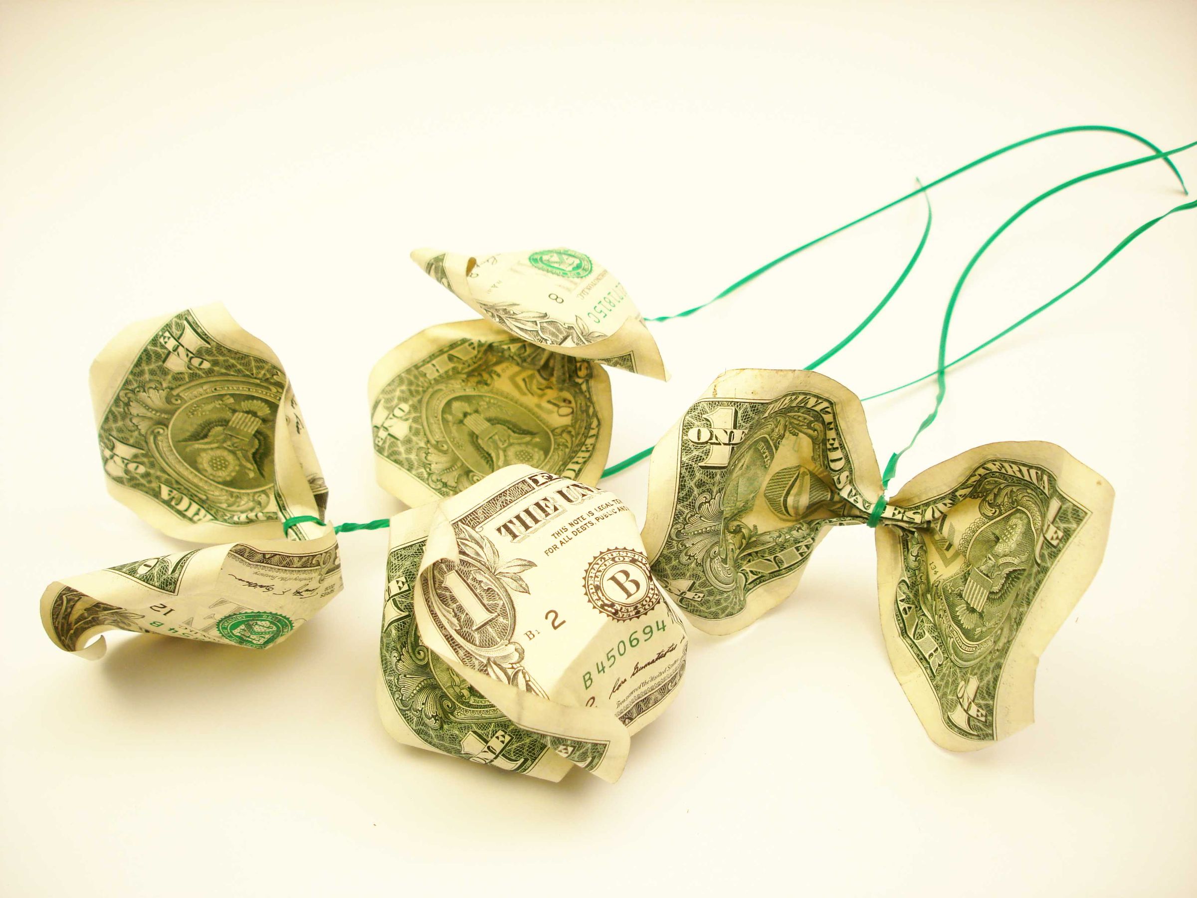 Dollar Bill Flower Bouquet : 7 Steps (with Pictures) - Instructables