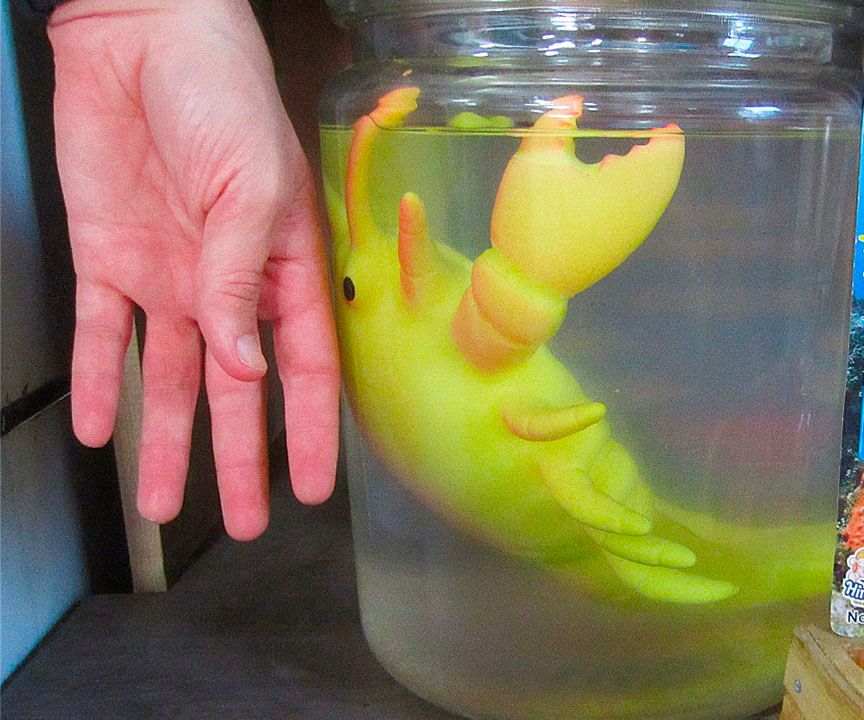 Amazing Diy Experiment | Growing Creatures : 5 Steps - Instructables
