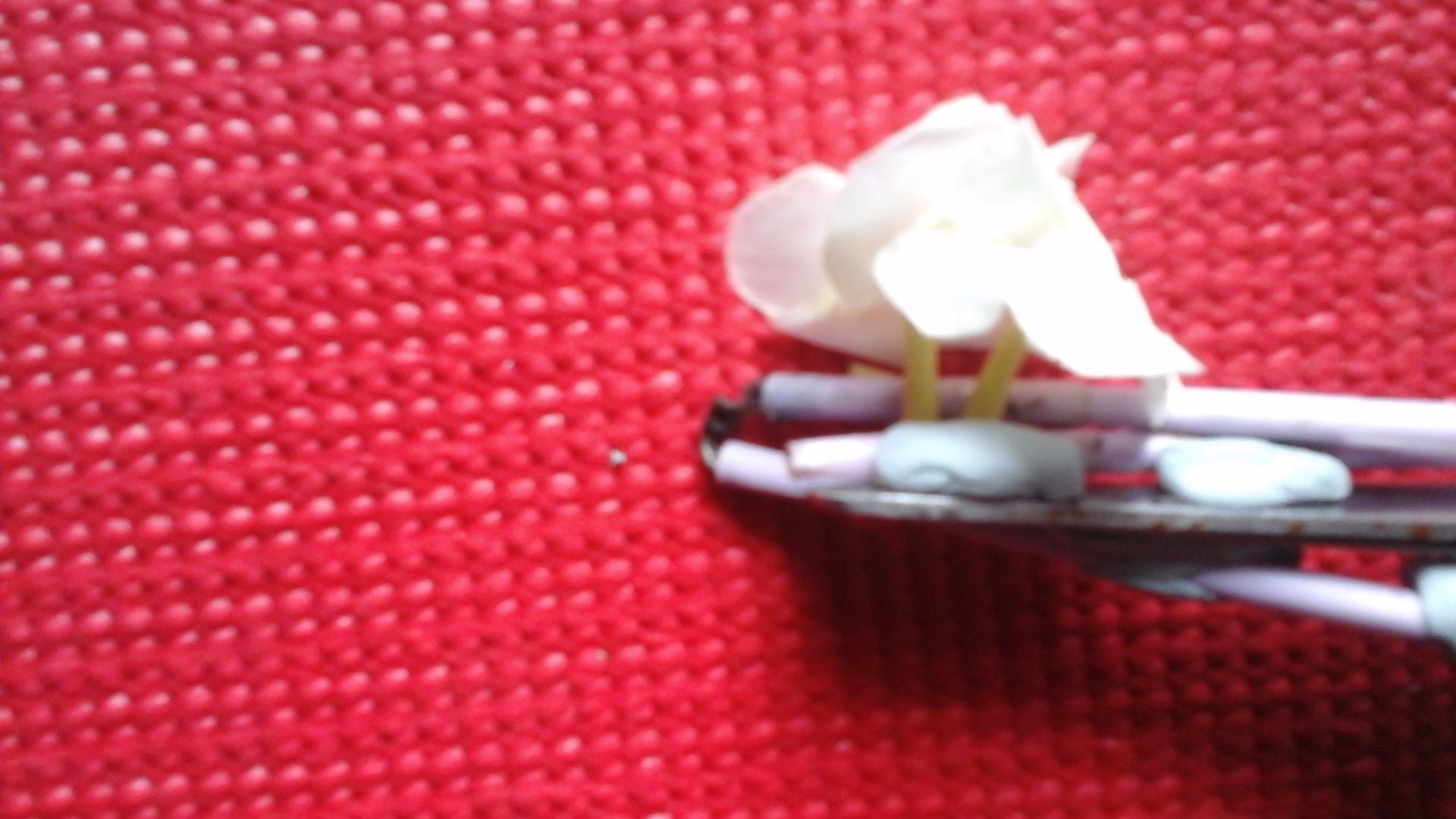 Flower Plucking Tool!. : 5 Steps - Instructables