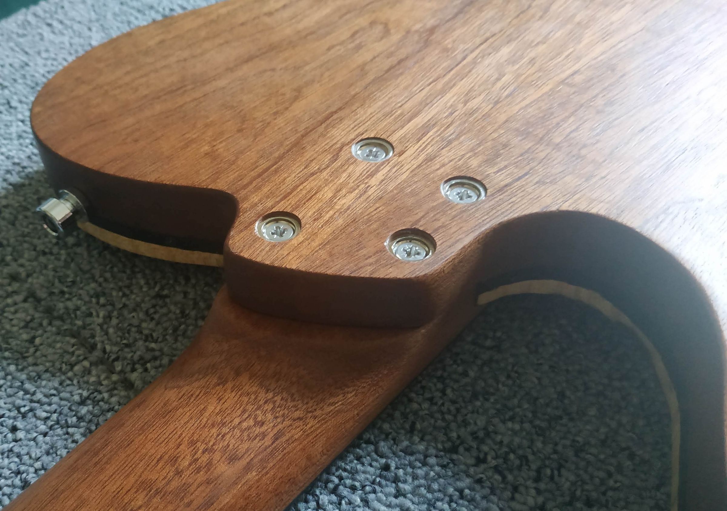 Building a Guitar: Telecaster Thinline : 12 Steps (with Pictures ...
