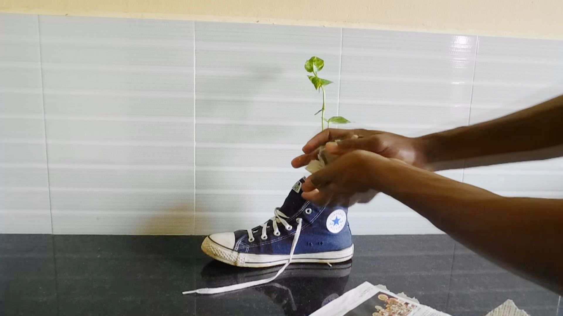 Indoor Planting Setup Using Your Old Shoe : 4 Steps - Instructables