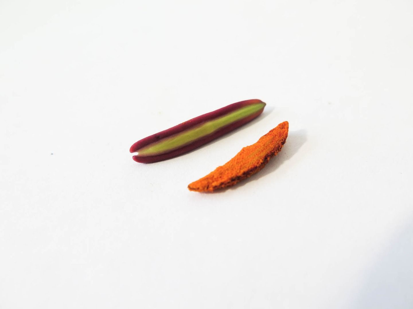 Flower Dissection! : 6 Steps (with Pictures) - Instructables