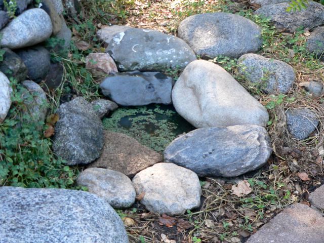 One Hour Trash Can Fish Pond : 3 Steps (with Pictures) - Instructables