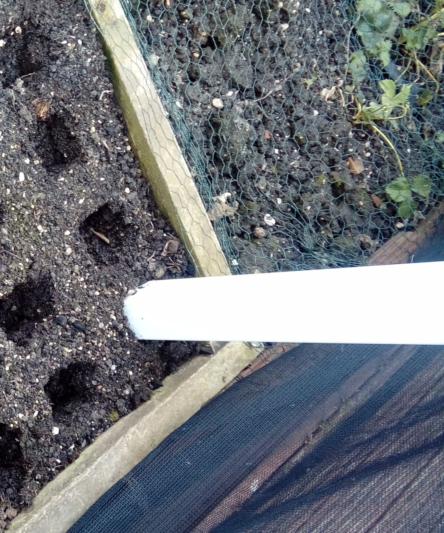 Easy Planting : 3 Steps (with Pictures) - Instructables