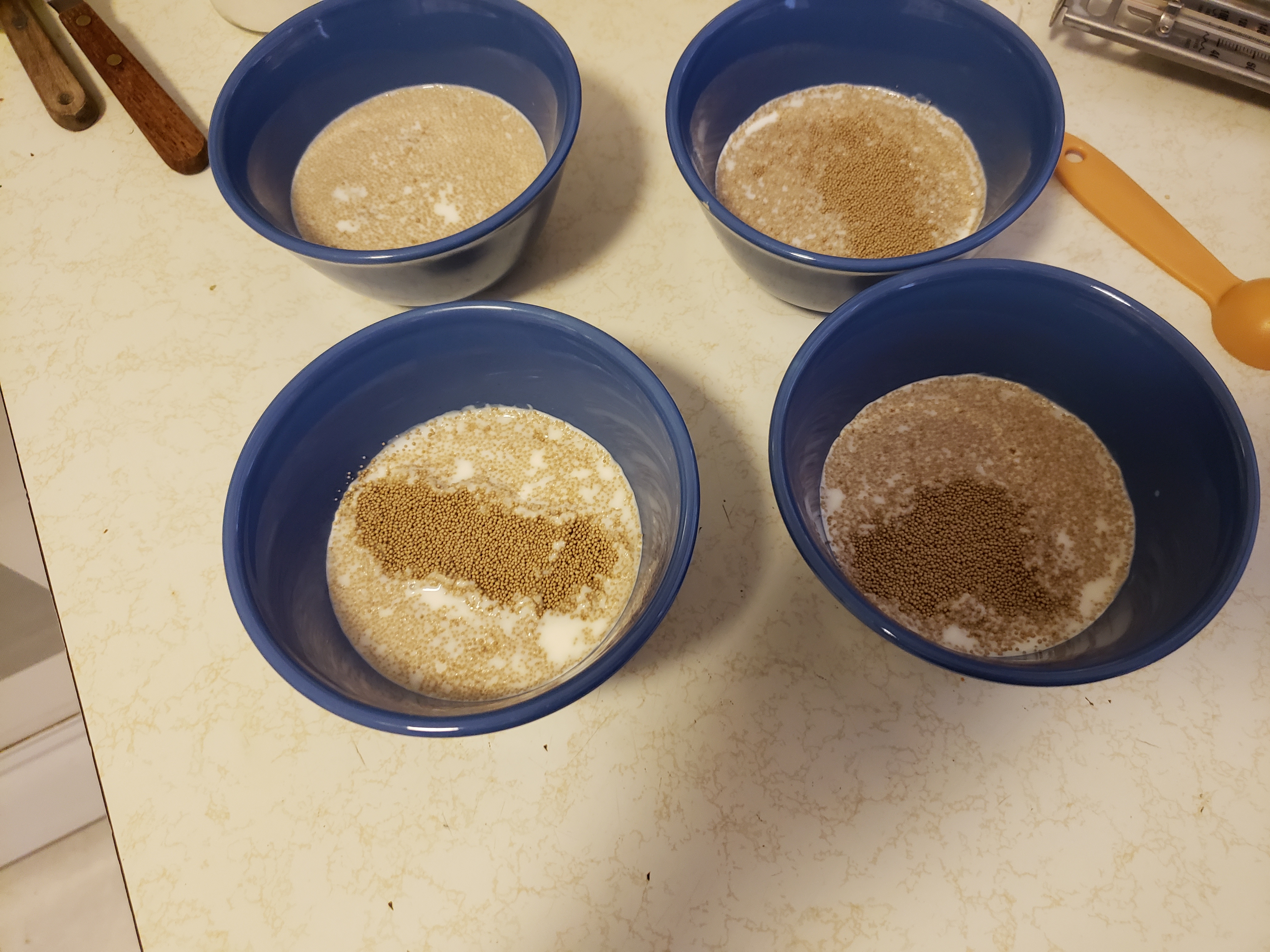 Homemade Panettone : 9 Steps (with Pictures) - Instructables