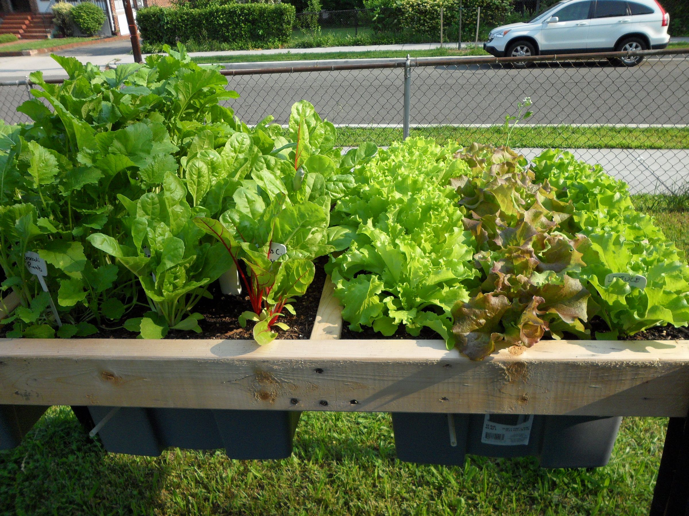 Self-Watering Veggie Table : 15 Steps (with Pictures) - Instructables