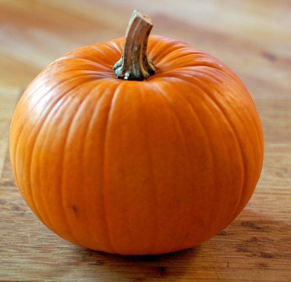 How to Cook a Pumpkin (with Pictures) - Instructables