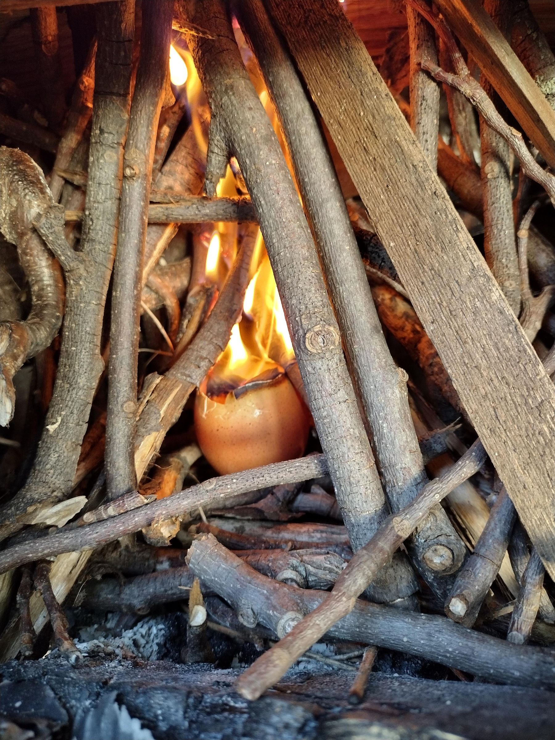 Bacon and Eggs Fire Starter : 6 Steps (with Pictures) - Instructables