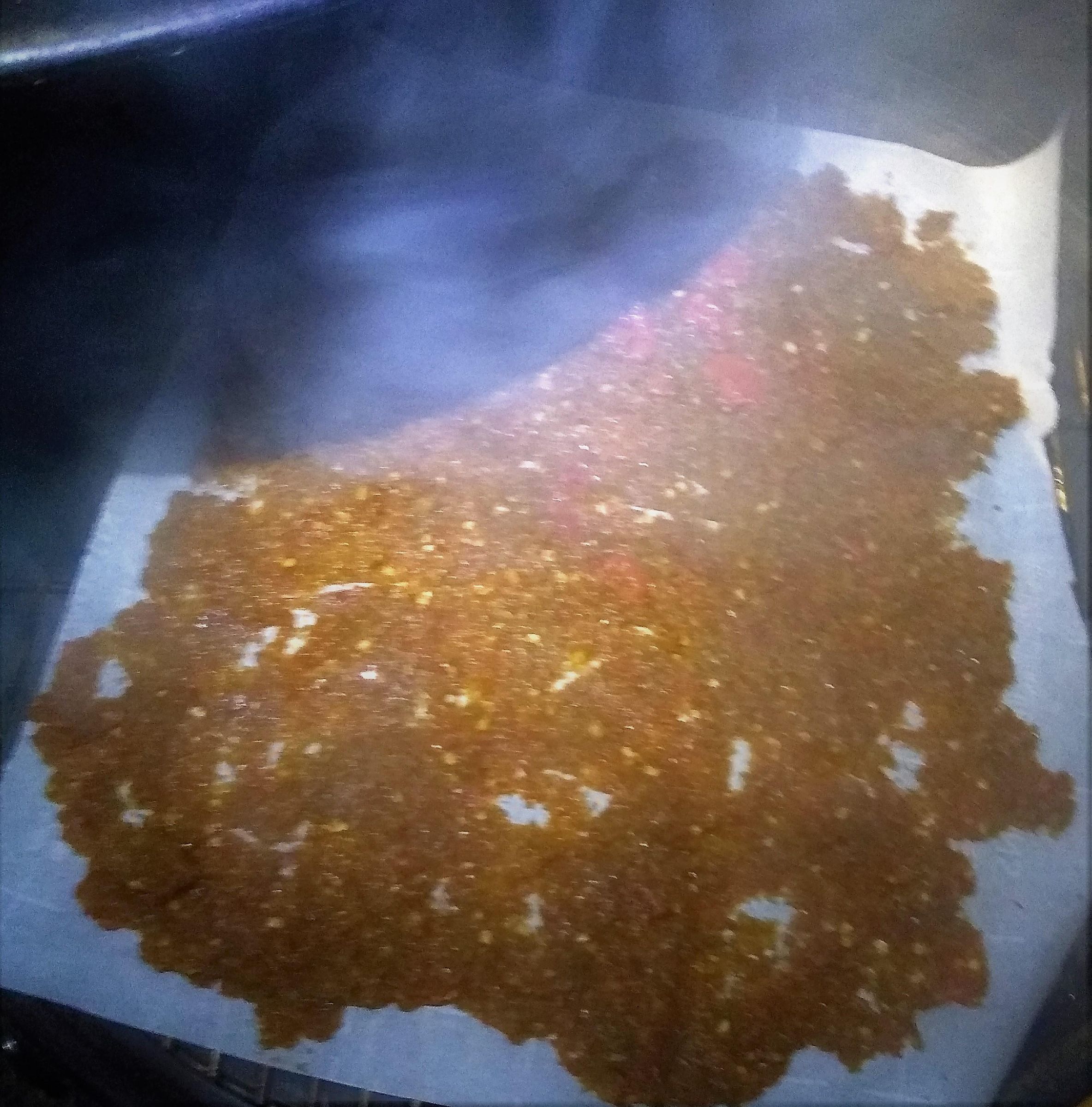 Miracle Powder: Peppers, Garlic, Salt, Acid, Smoke : 6 Steps (with ...