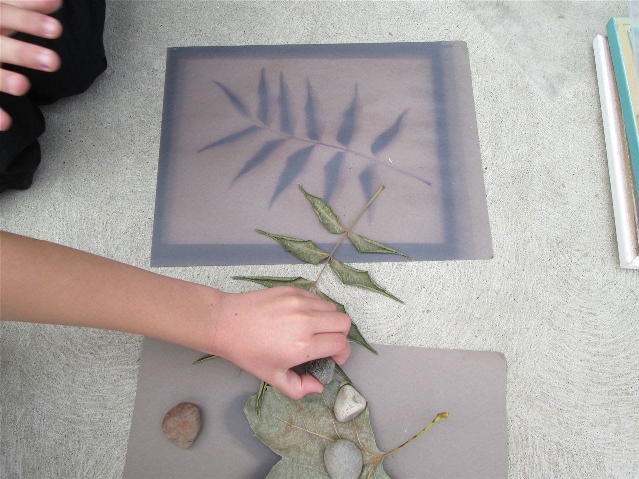 DIY Construction Paper Solar Prints : 6 Steps (with Pictures ...