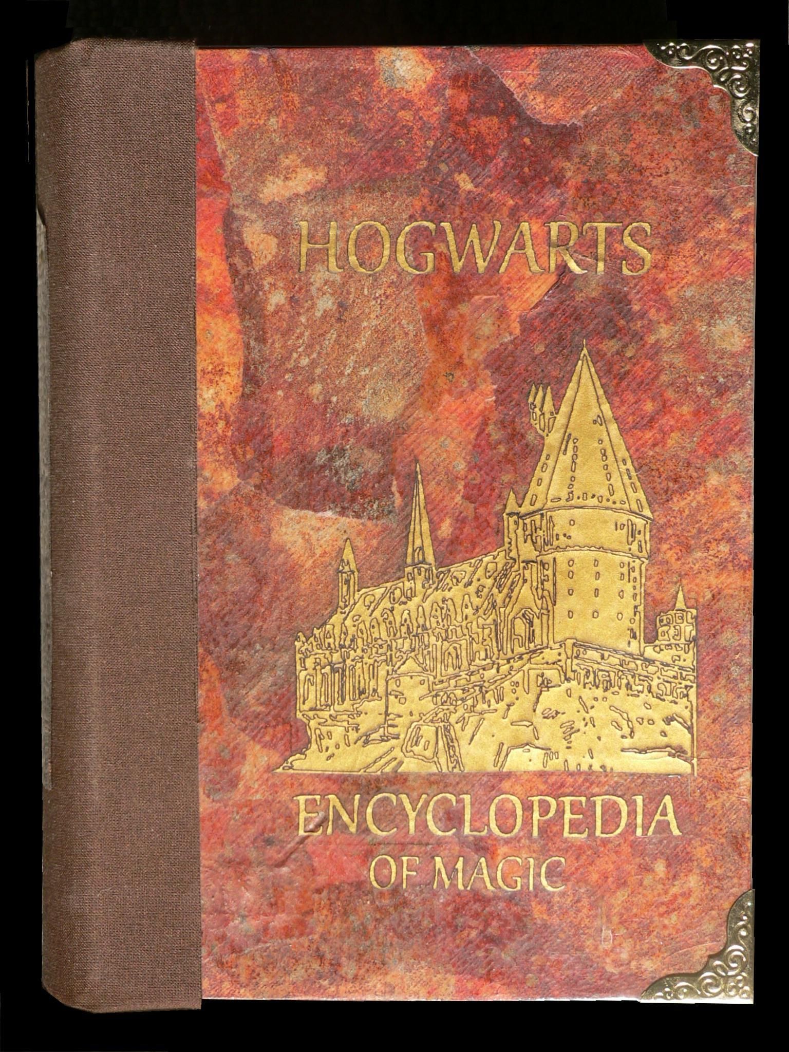 Harry Potter's Hogwarts Library Book : 13 Steps (with Pictures ...