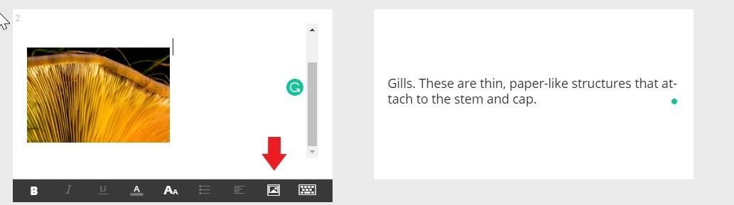 Creating a Flashcard Set in Cram.com : 8 Steps - Instructables
