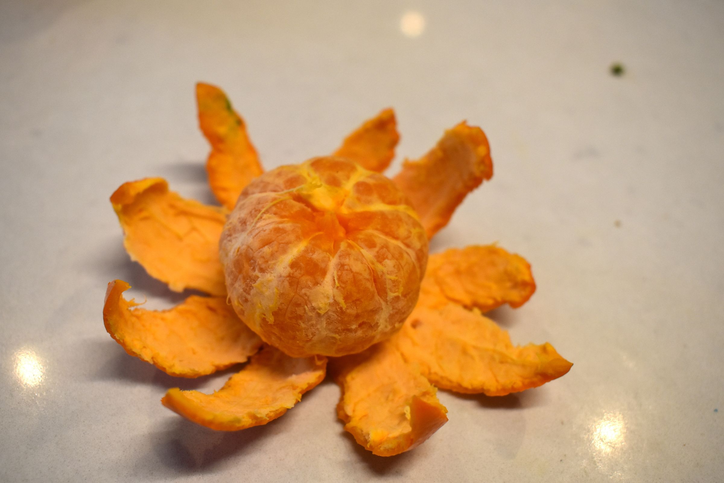 Creepy Citrus Snacks: Shrunken Heads and Spooky Octopoda : 6 Steps ...