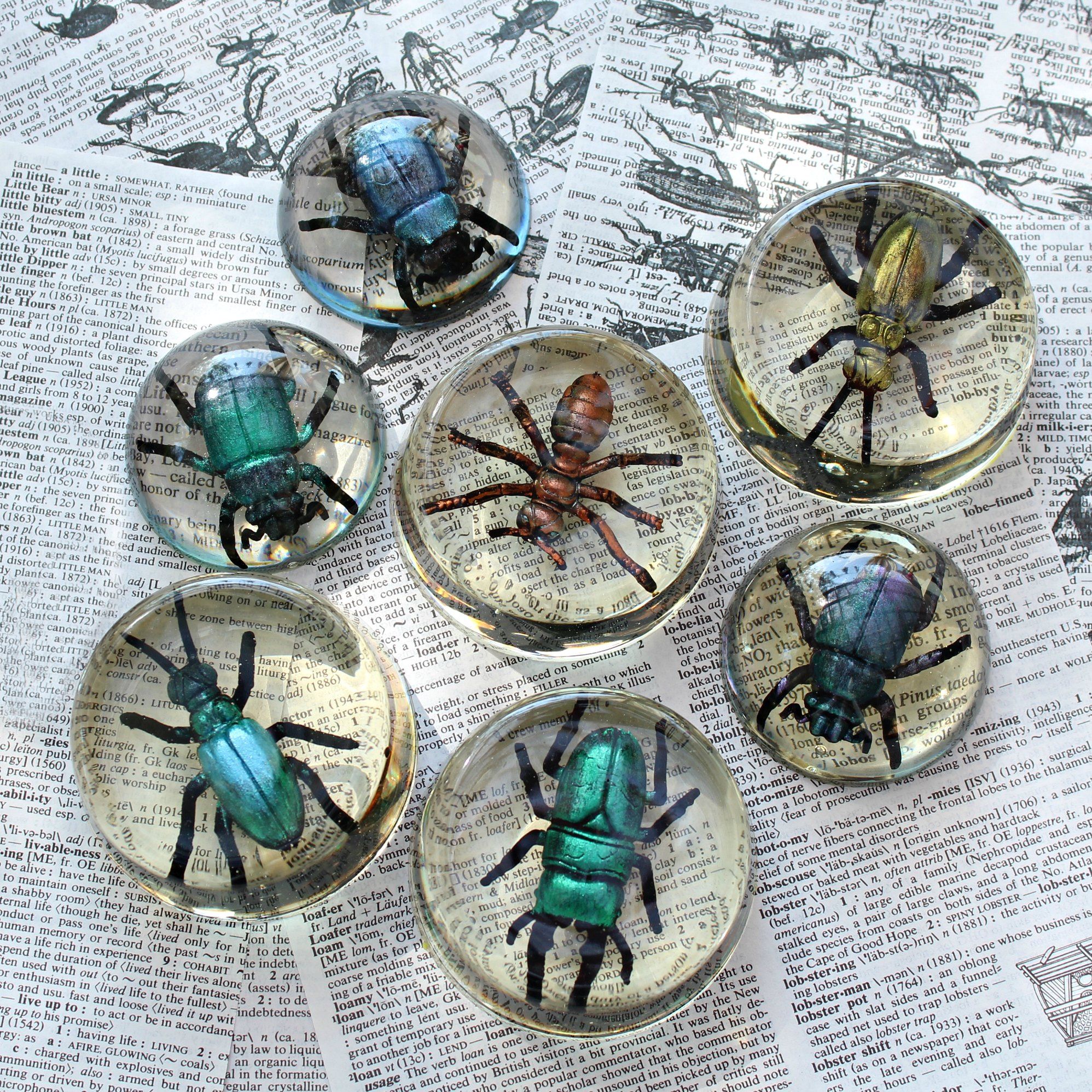 Faux Bugs in Resin : 3 Steps (with Pictures) - Instructables
