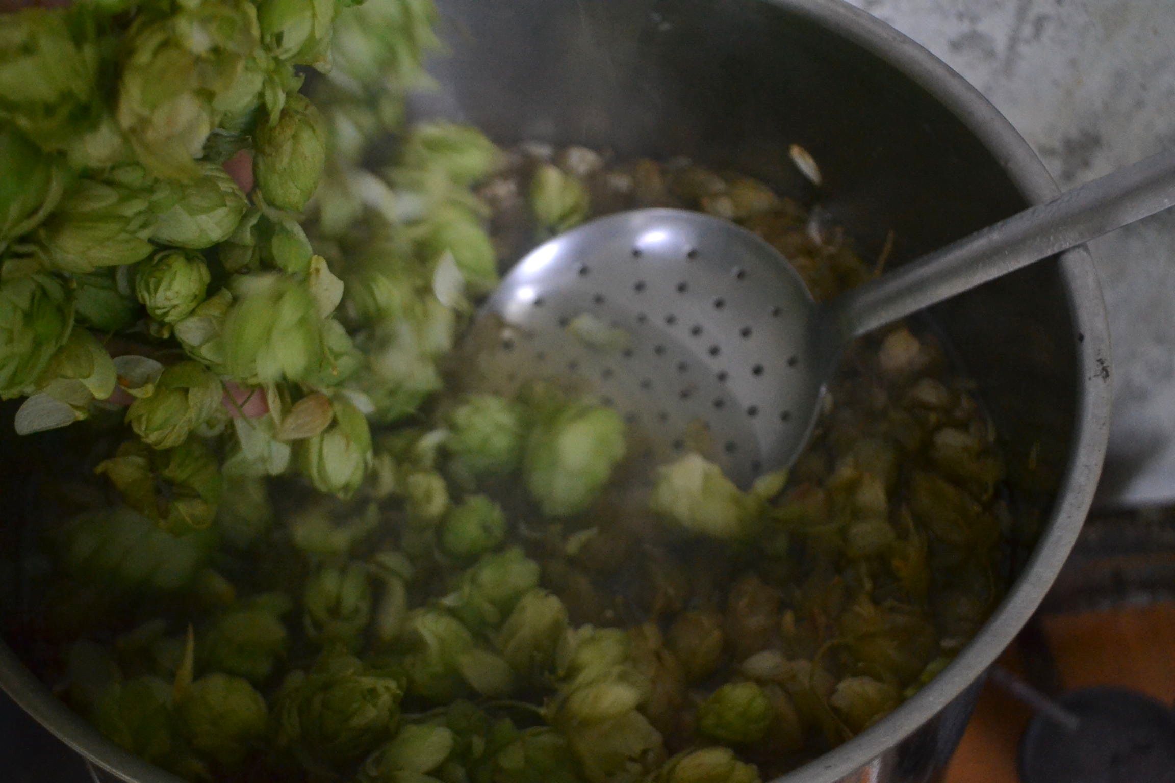 DOUBLE HOP BEER (dry Hopping) : 14 Steps (with Pictures) - Instructables