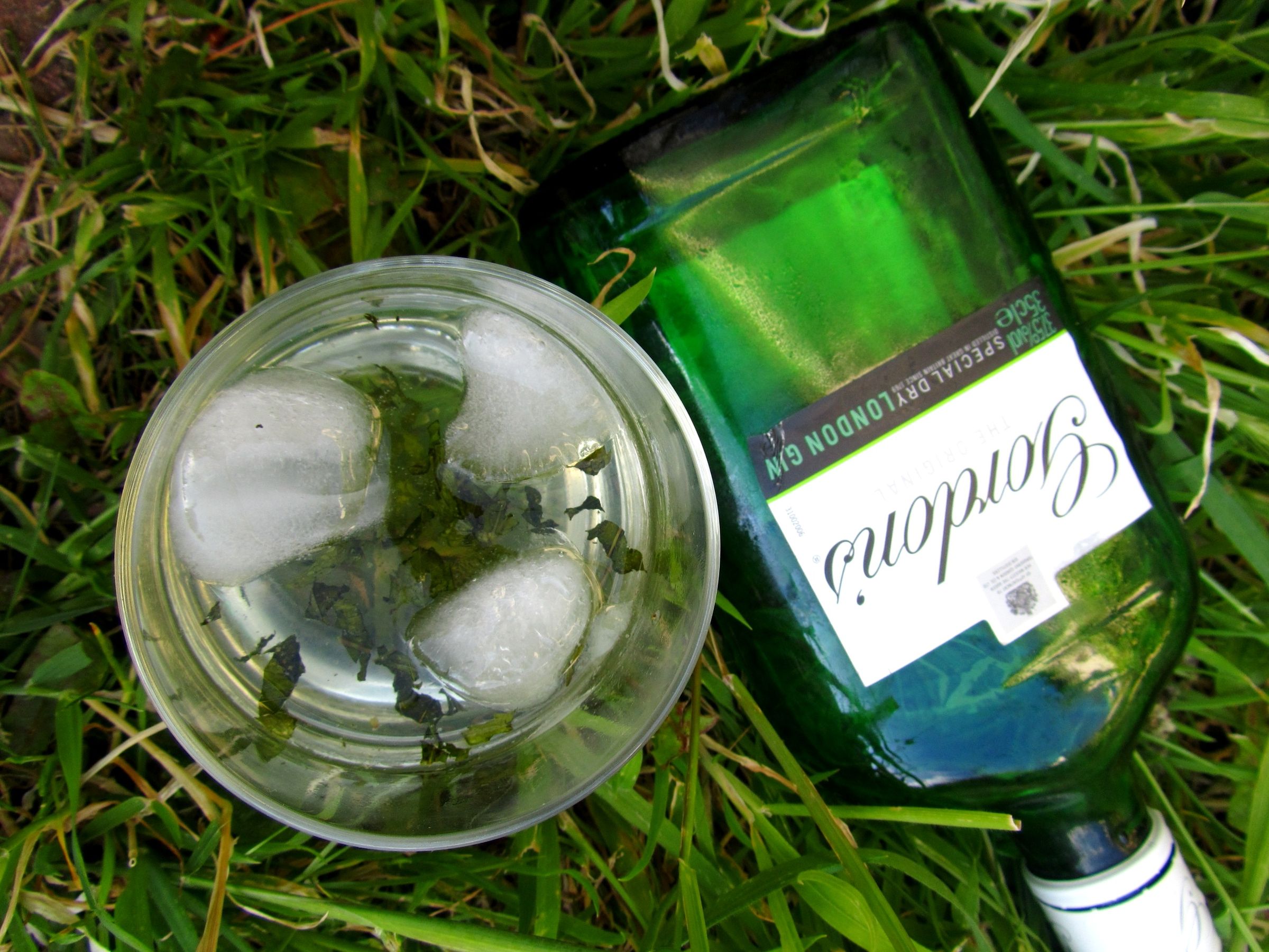 Calming Cucumber Cocktail - Instructables