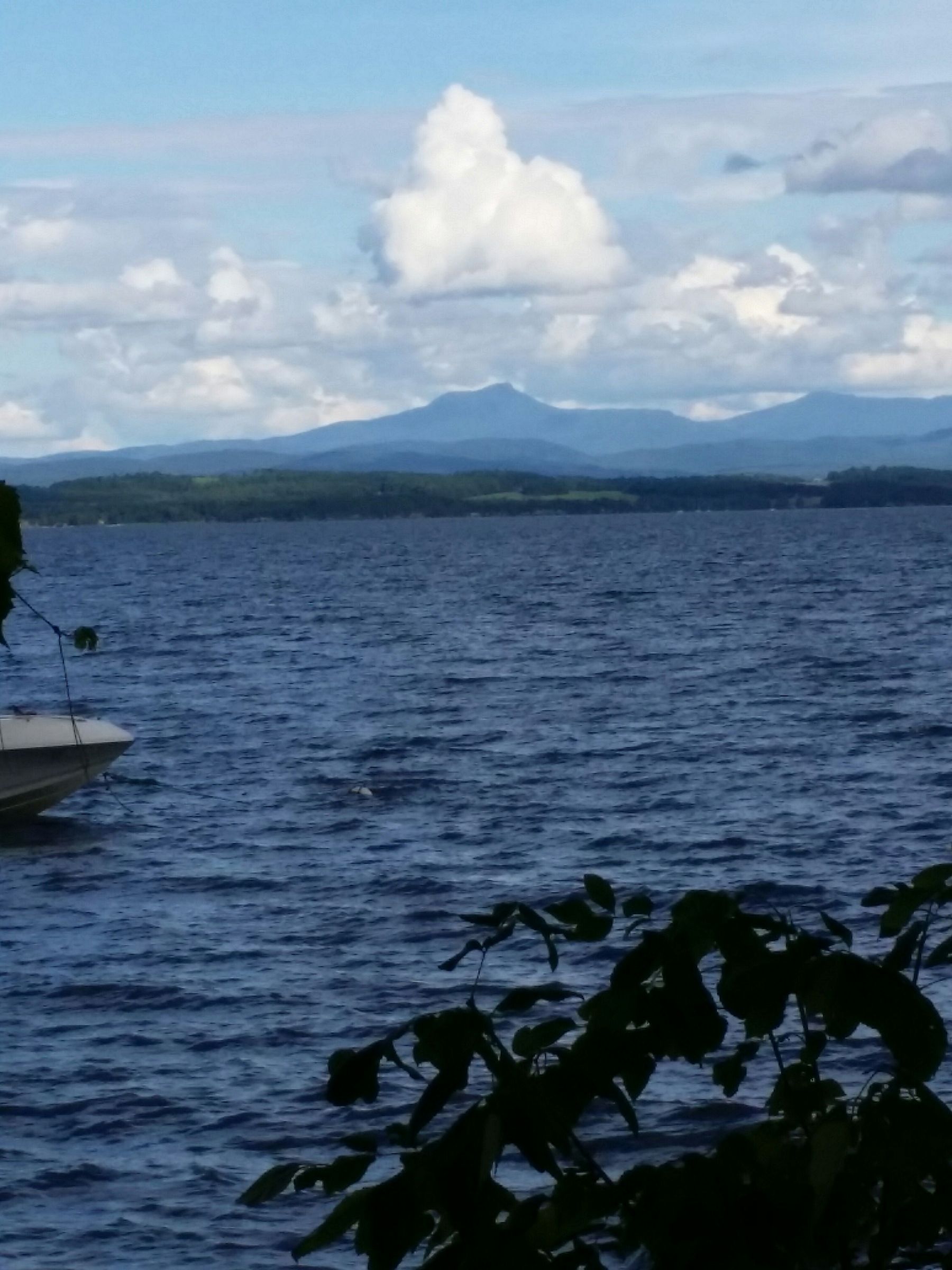 Shoot Long Distance Pictures With Your Phone : 6 Steps - Instructables