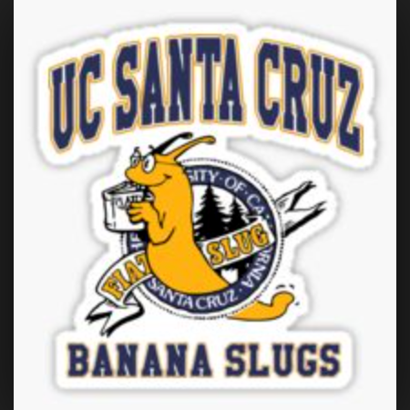 Banana (slug) Cream Pie : 7 Steps (with Pictures) - Instructables