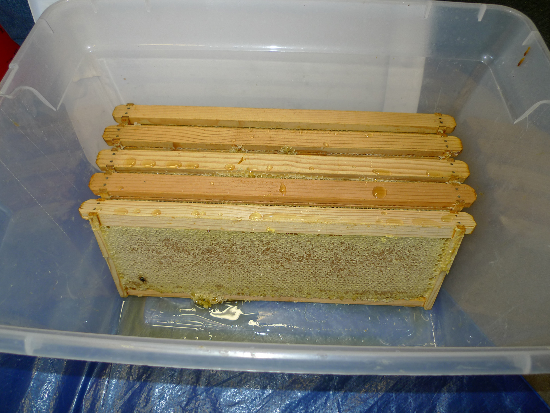 Extracting Honey : 8 Steps (with Pictures) - Instructables