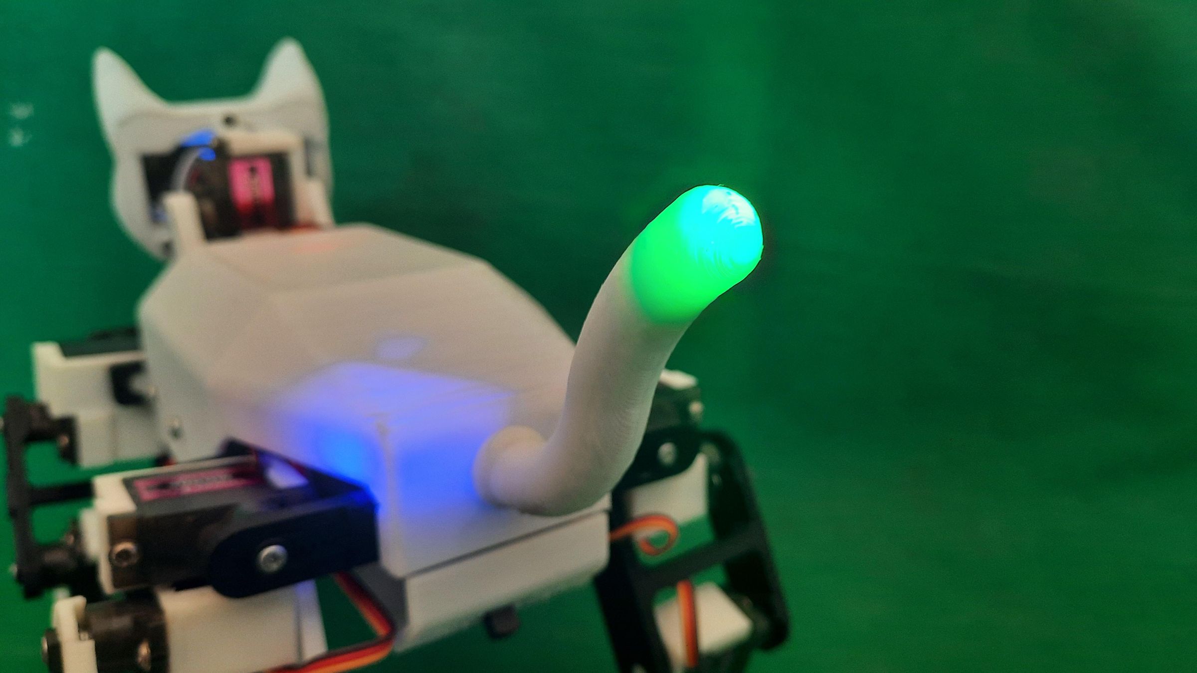 Leo: the Pet Cat : 7 Steps (with Pictures) - Instructables