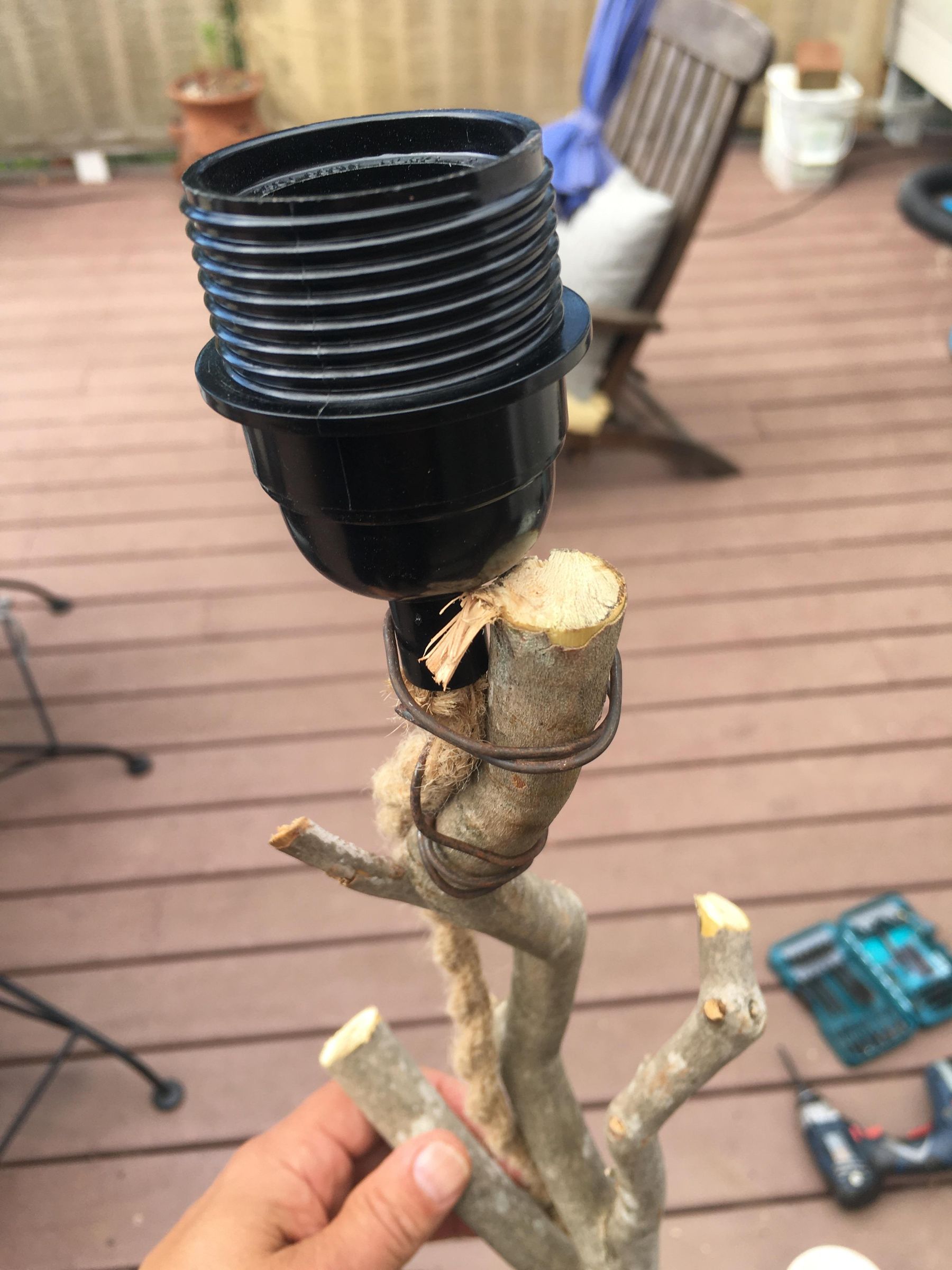 Planted Lamp : 4 Steps (with Pictures) - Instructables