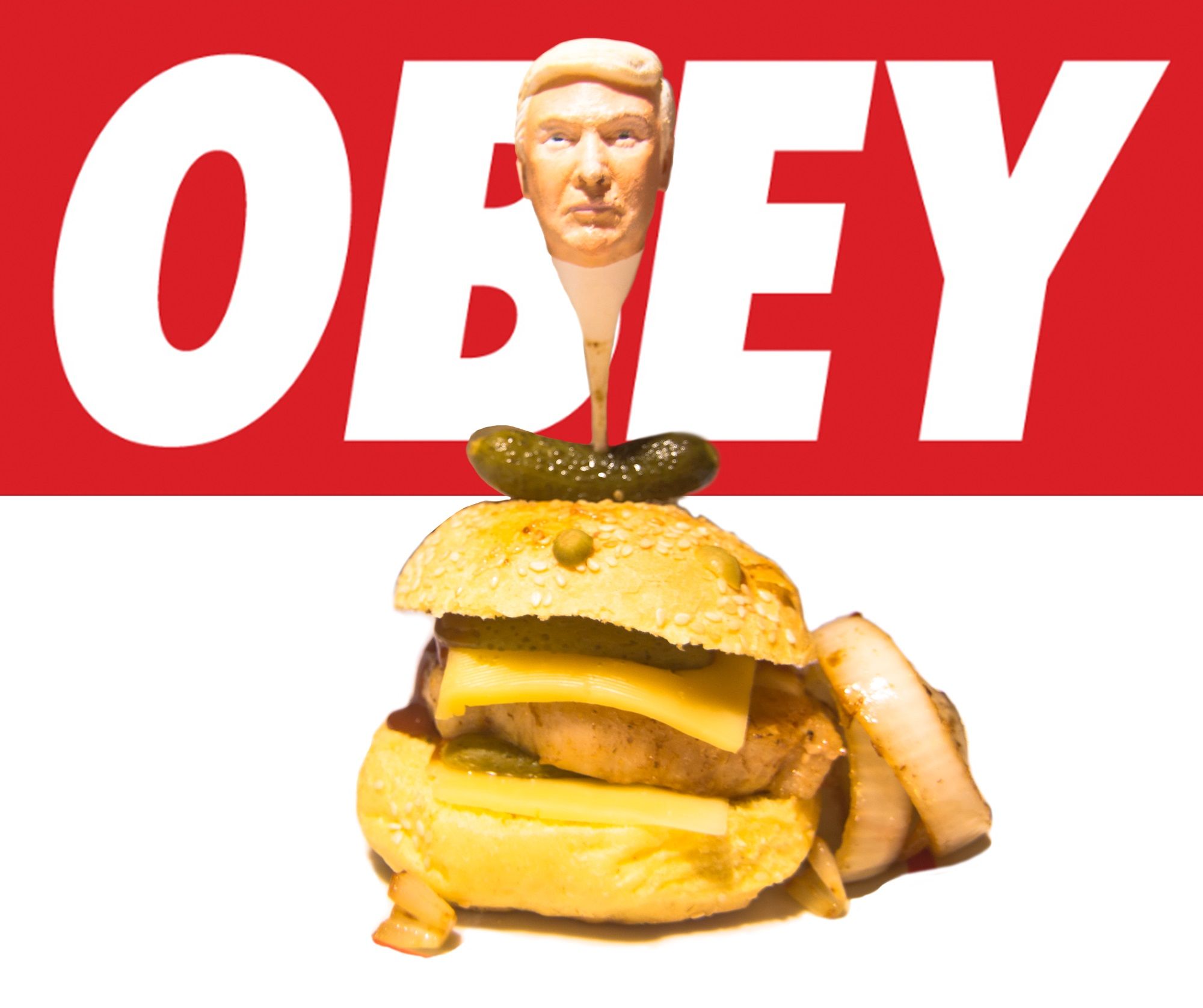 Donald Trump Burger : 6 Steps - Instructables