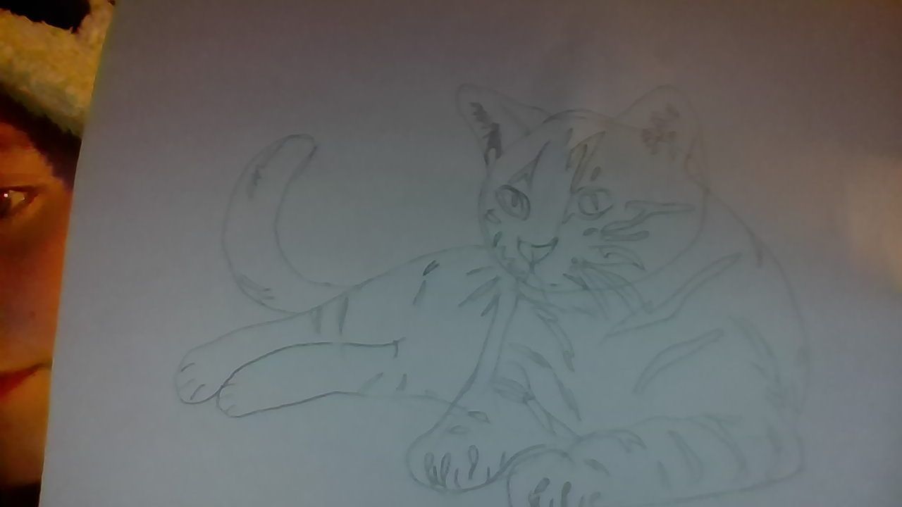 How to Draw a Cat : 9 Steps - Instructables