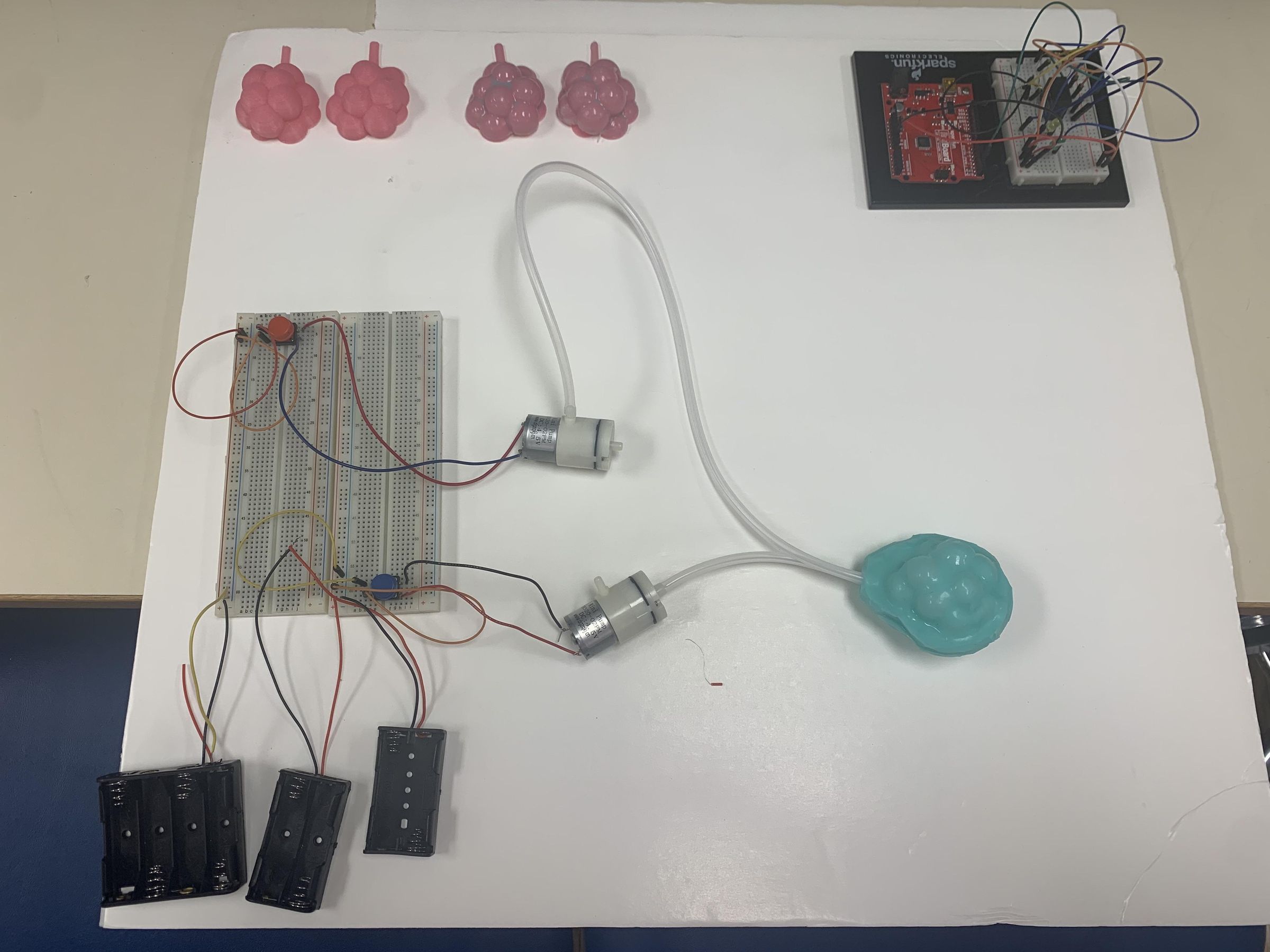 Nonliving But Breathing Model of Lung Alveoli : 8 Steps - Instructables