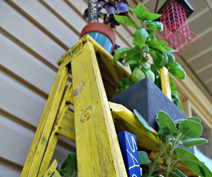 Herb Garden Ladder Planter : 7 Steps (with Pictures) - Instructables