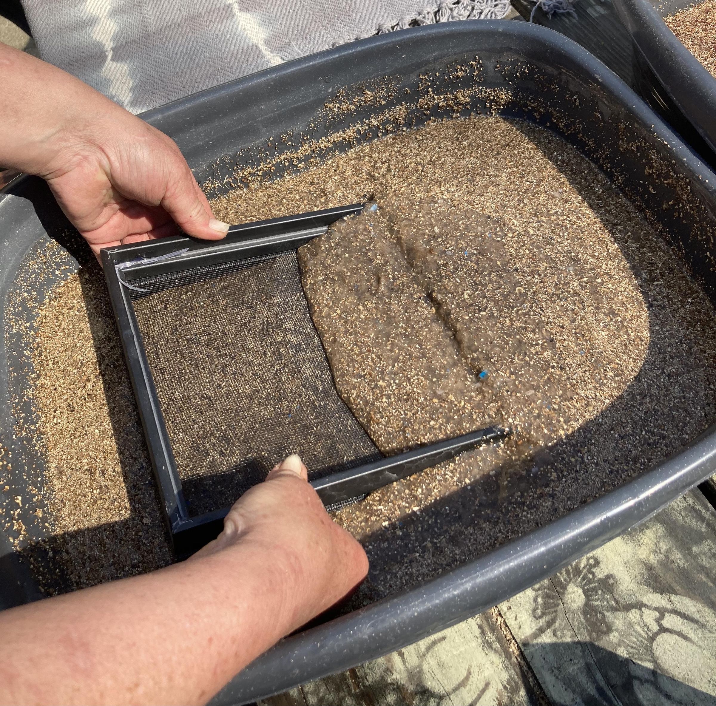 Seed Paper From Used Cardboard Boxes : 8 Steps (with Pictures ...